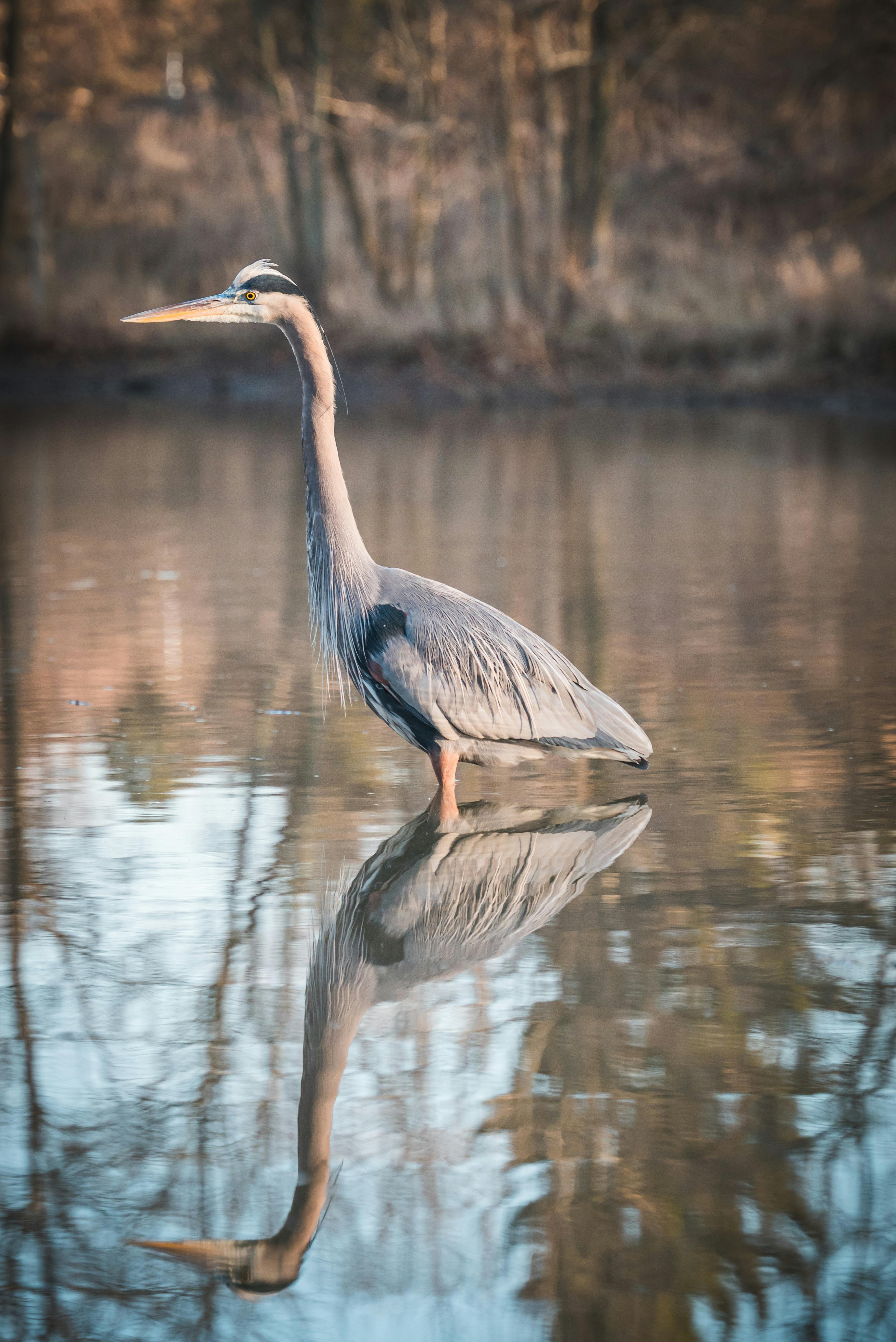 Wading Ki Disain Photos, Download The BEST Free Wading Ki Disain Stock ...