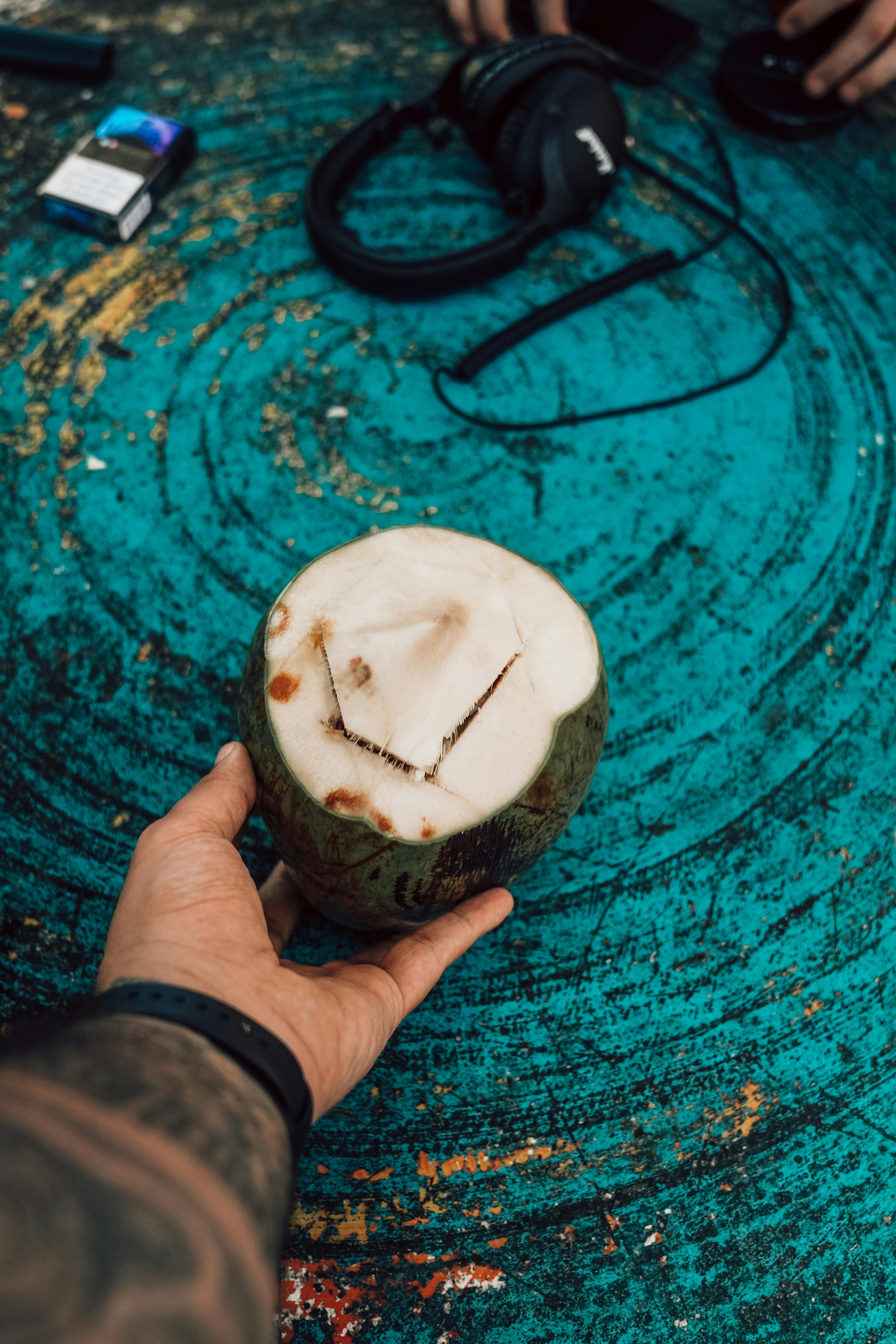 A Person Holding a Coconut Shell · Free Stock Photo
