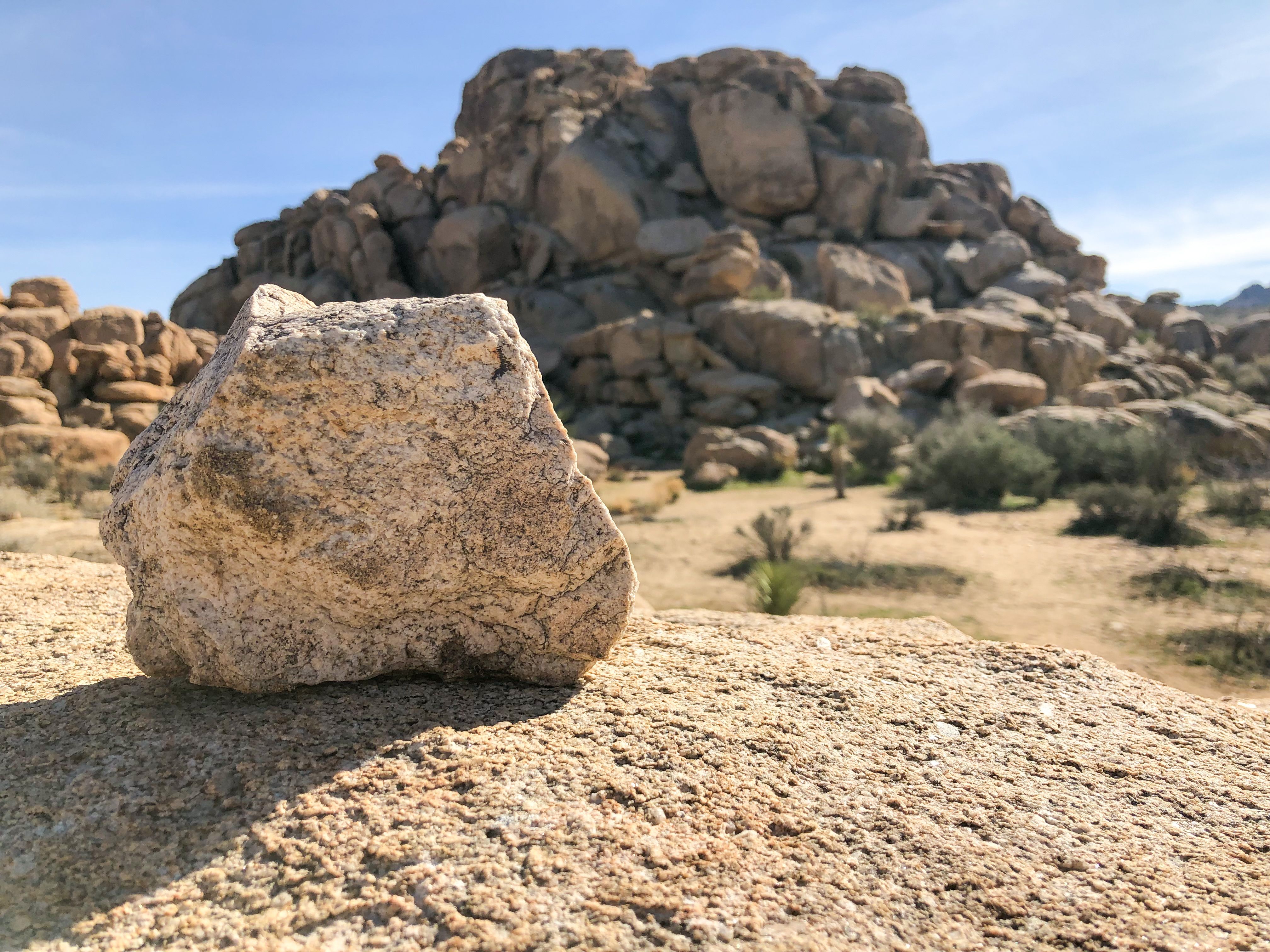 Big Rocks Behind Trees · Free Stock Photo