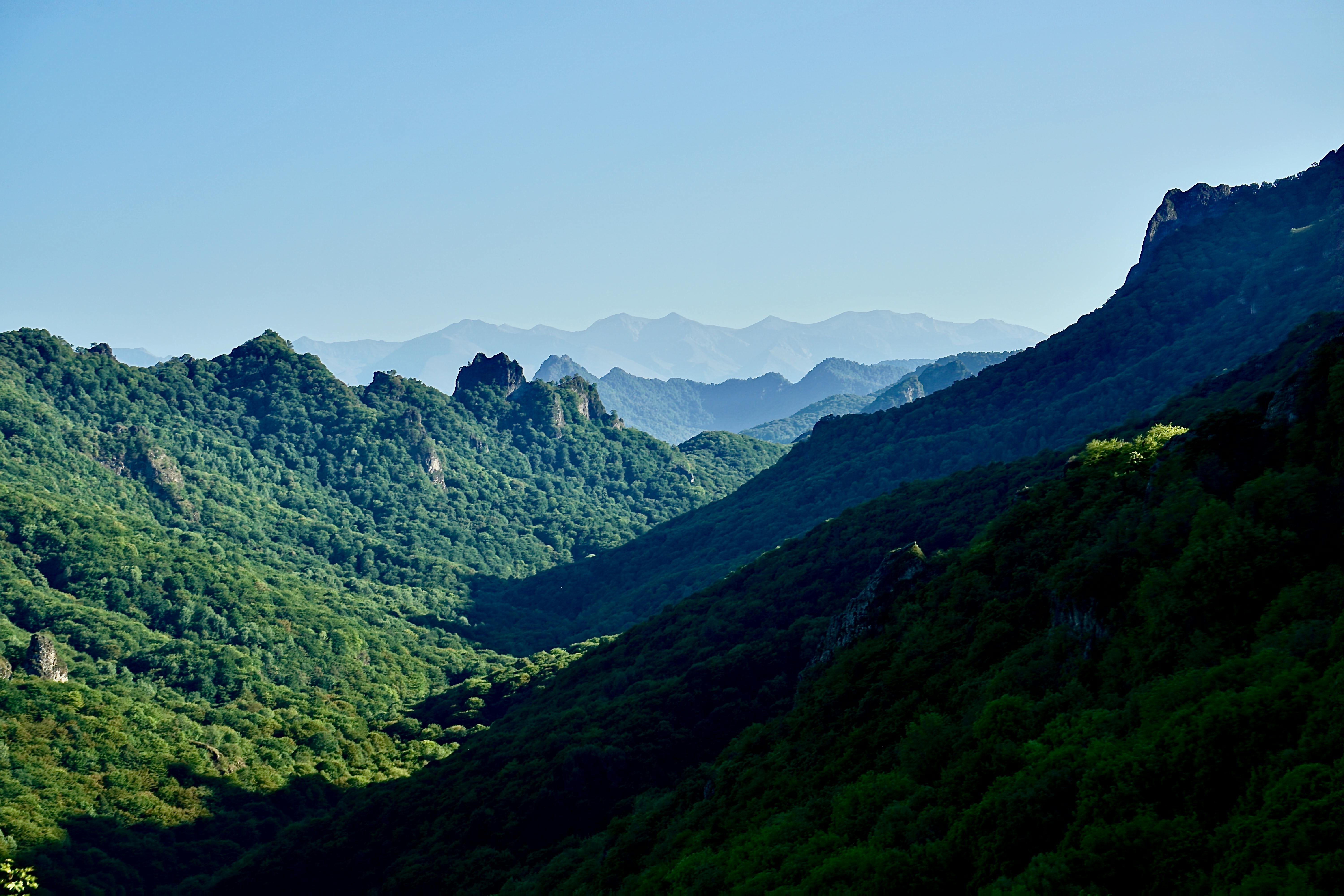 Landscape of a Green Valley · Free Stock Photo
