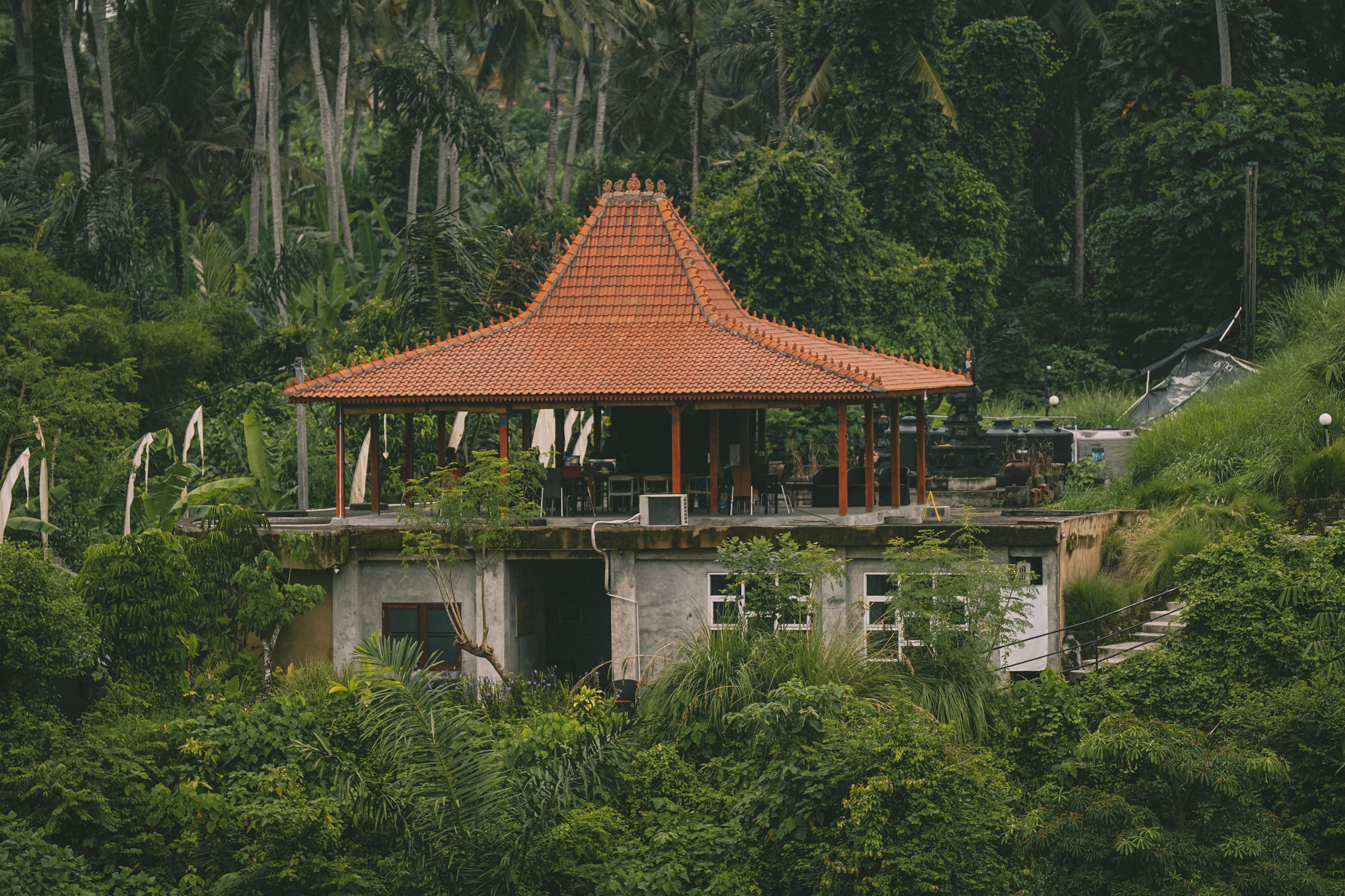 Resort in a Tropical Forest · Free Stock Photo