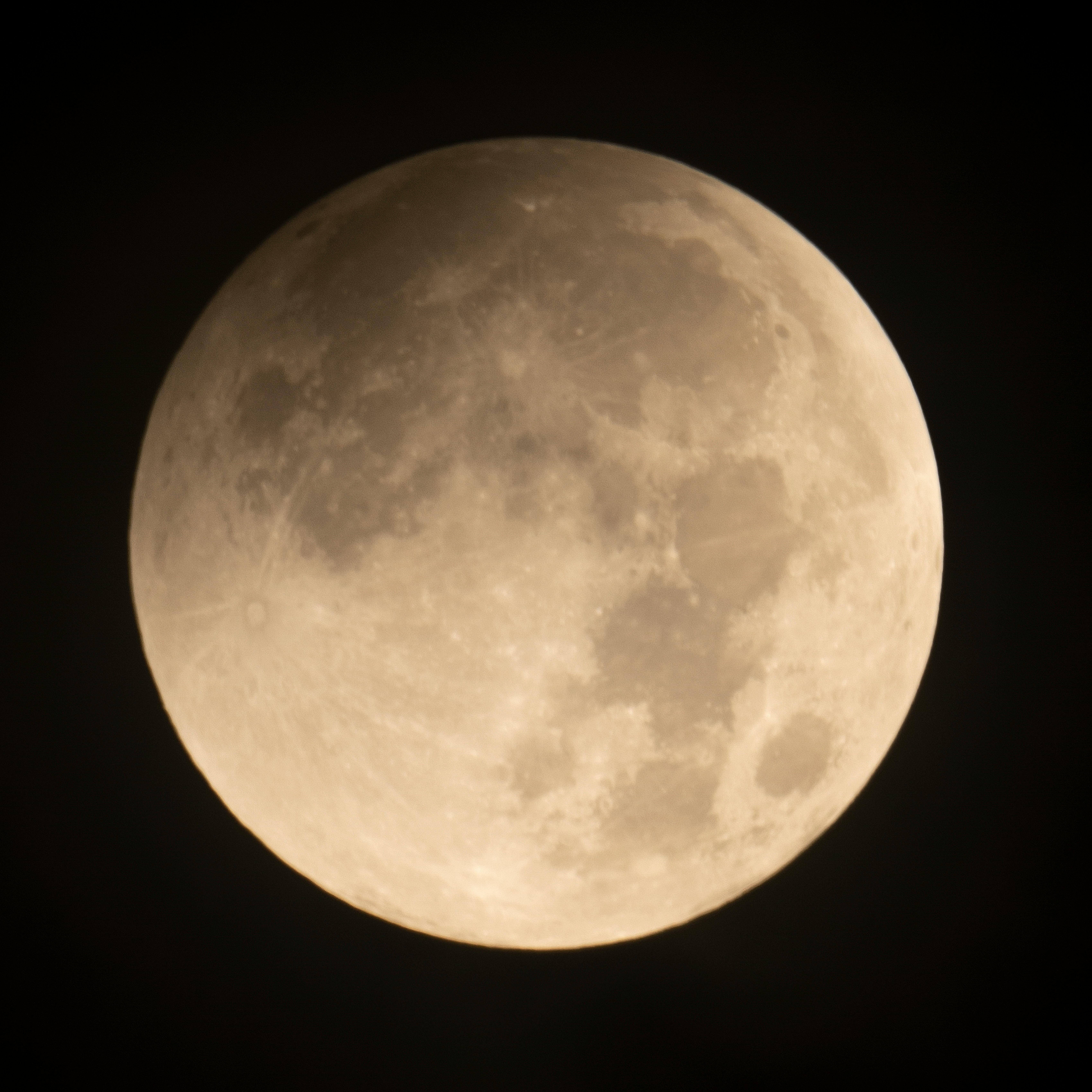 Full Moon in the Sky · Free Stock Photo