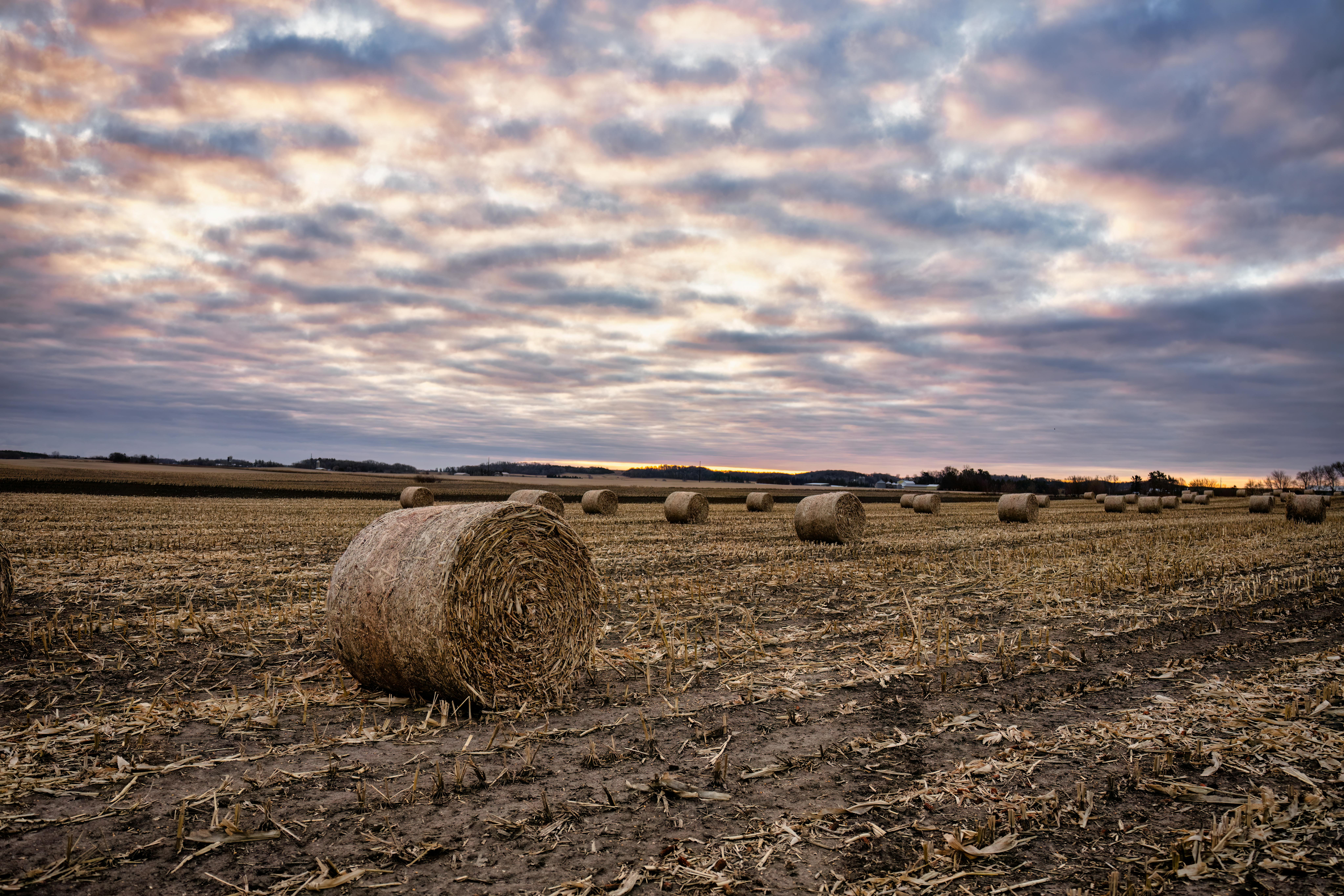 Hayfield During Sunset · Free Stock Photo