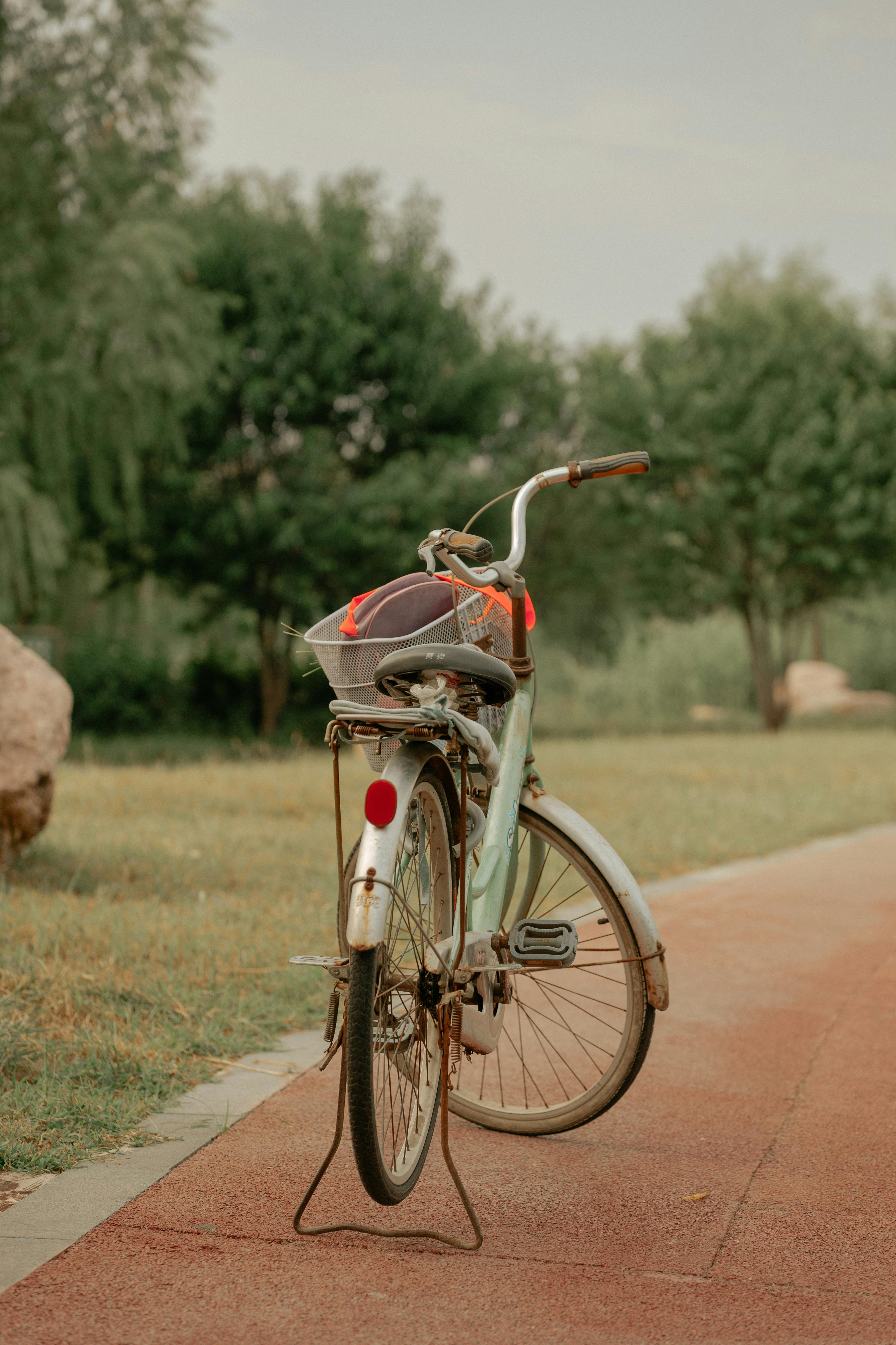 Black Bike Parked Beside the Trees · Free Stock Photo