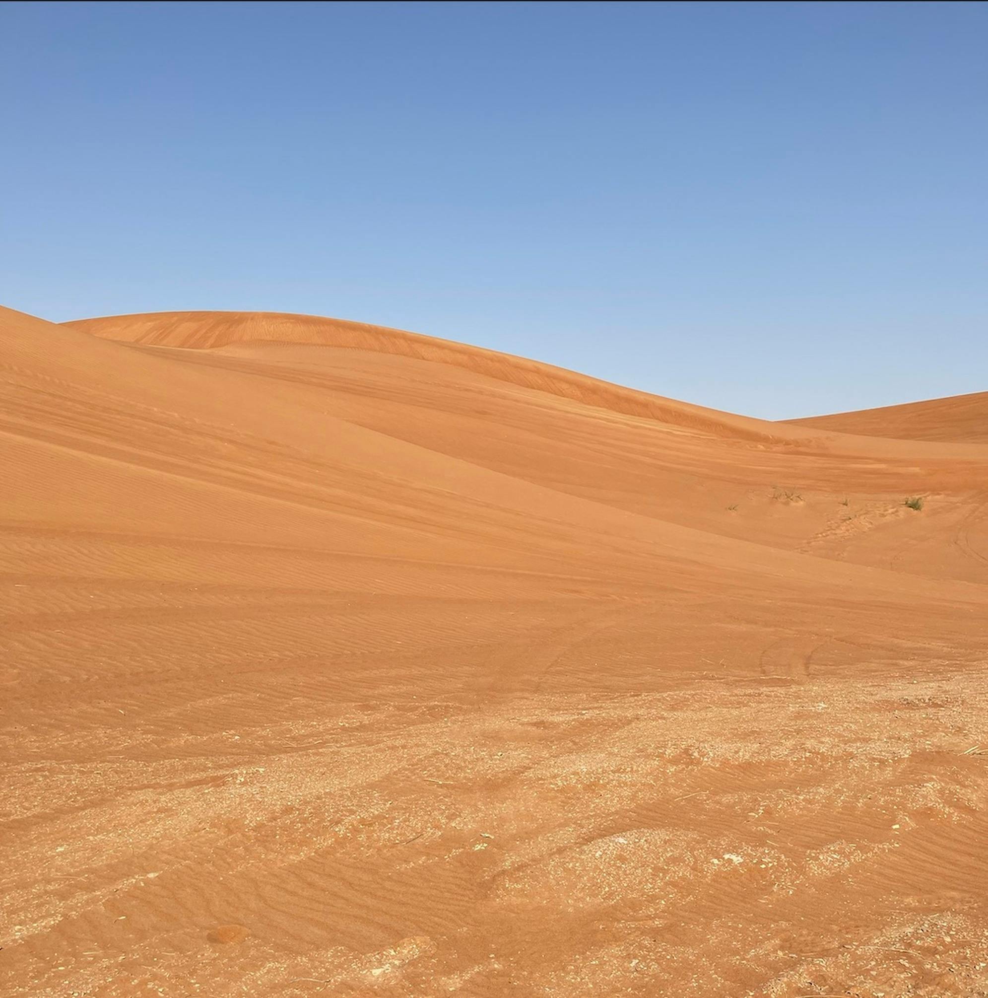 Textured sandy surface in desert · Free Stock Photo