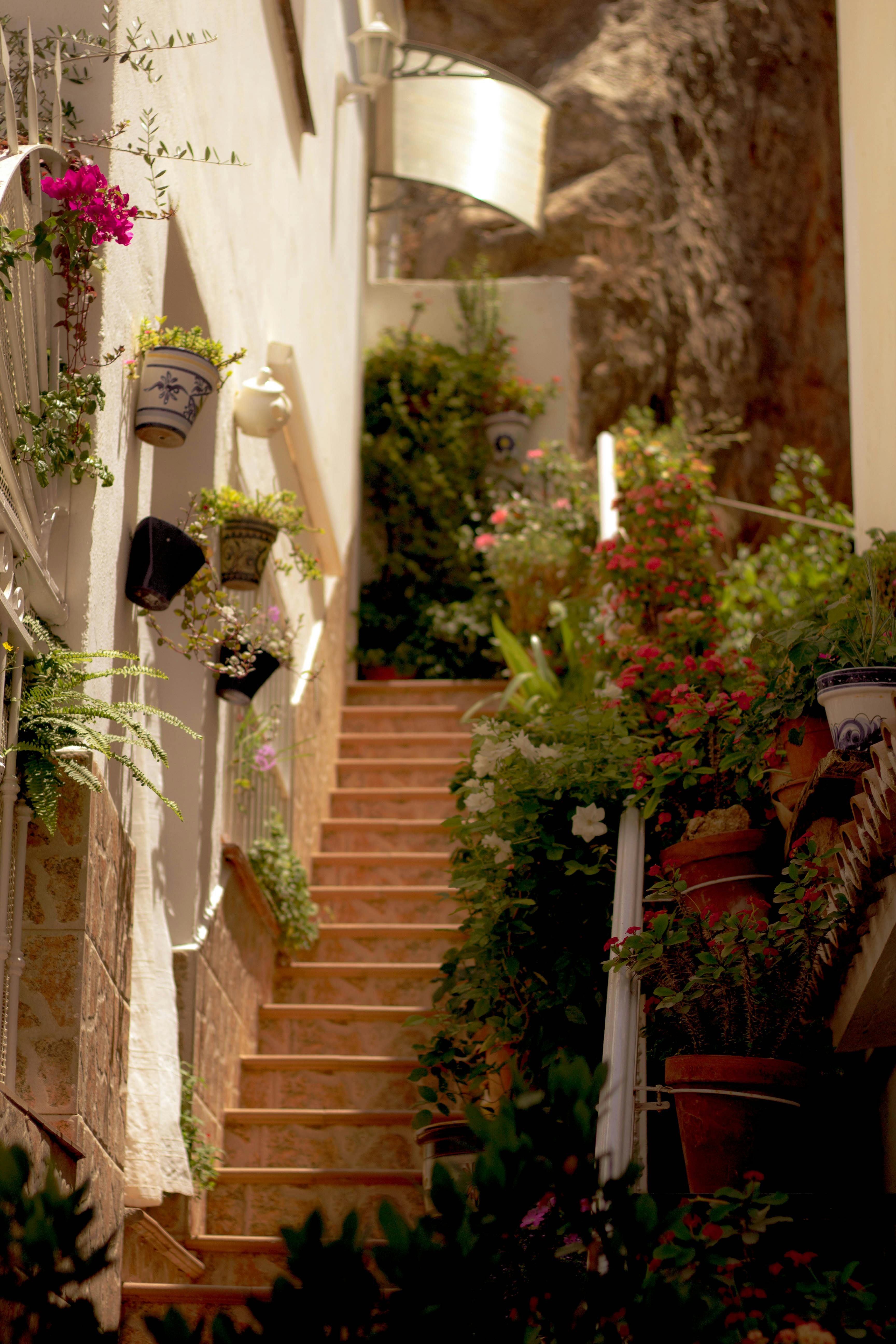 Steps Graph Photos, Download The BEST Free Steps Graph Stock Photos ...