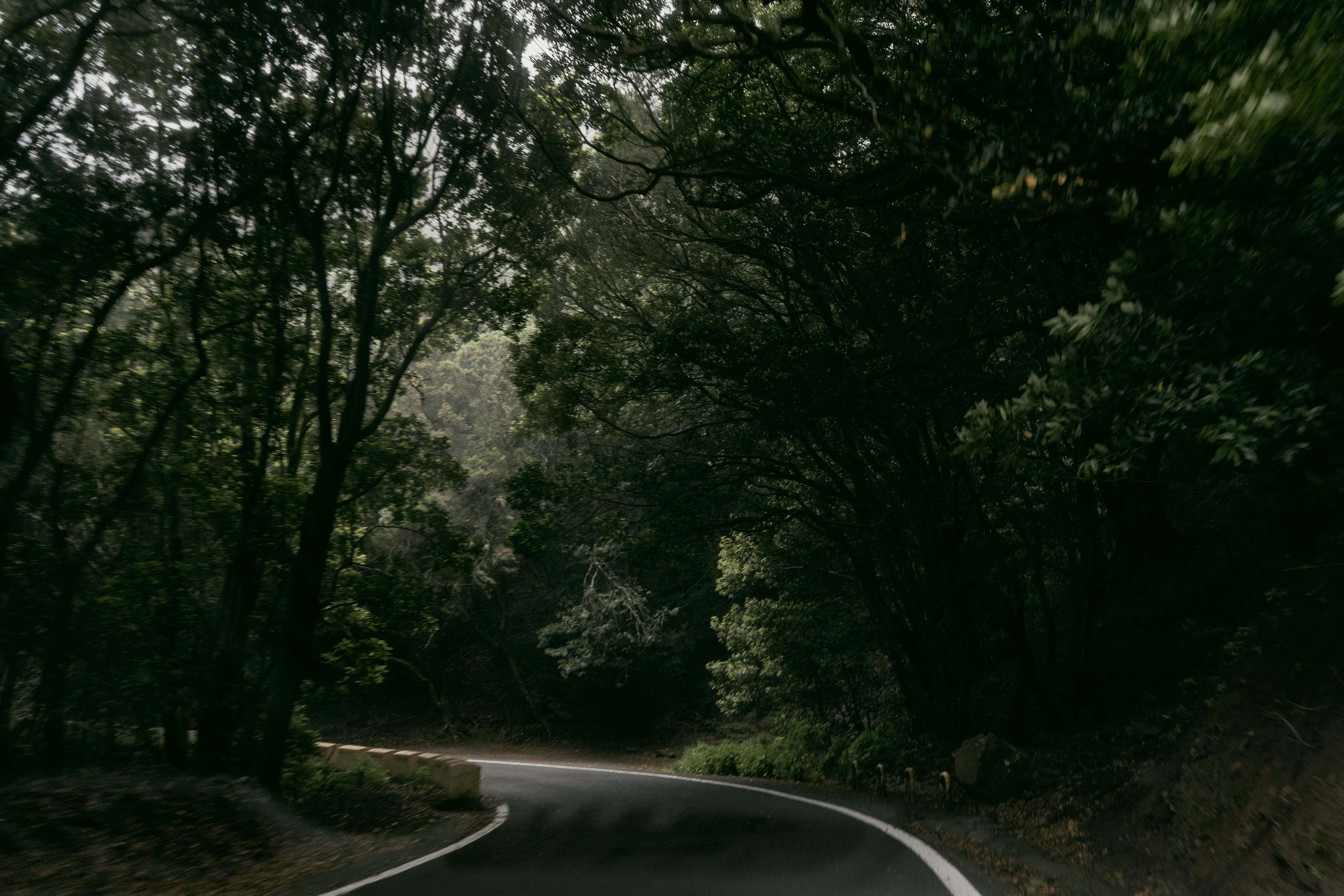 Hidden Reserve Photos, Download The BEST Free Hidden Reserve Stock ...