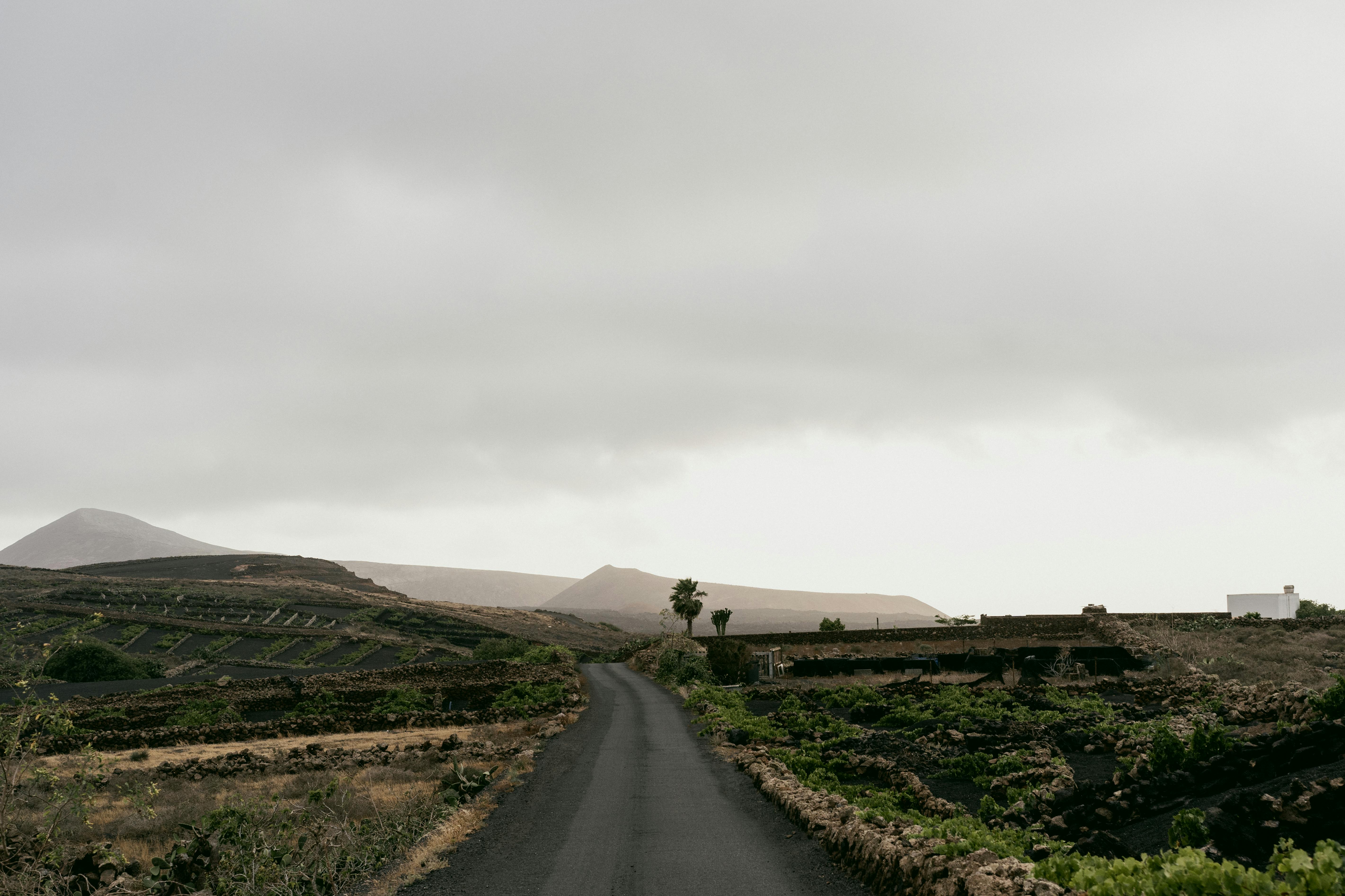 Landscape Photography of an Open Road · Free Stock Photo