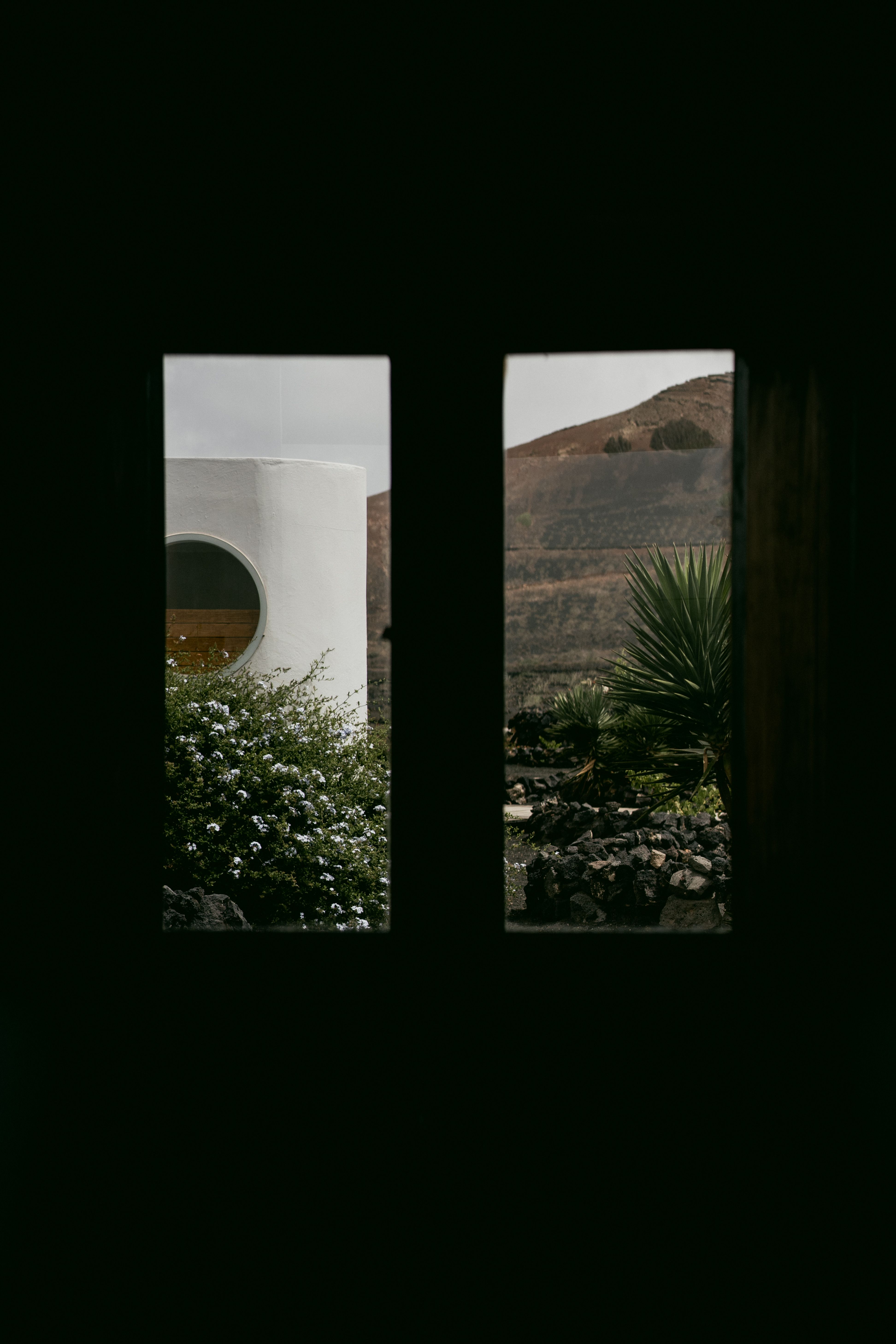 Garden Seen in Window · Free Stock Photo