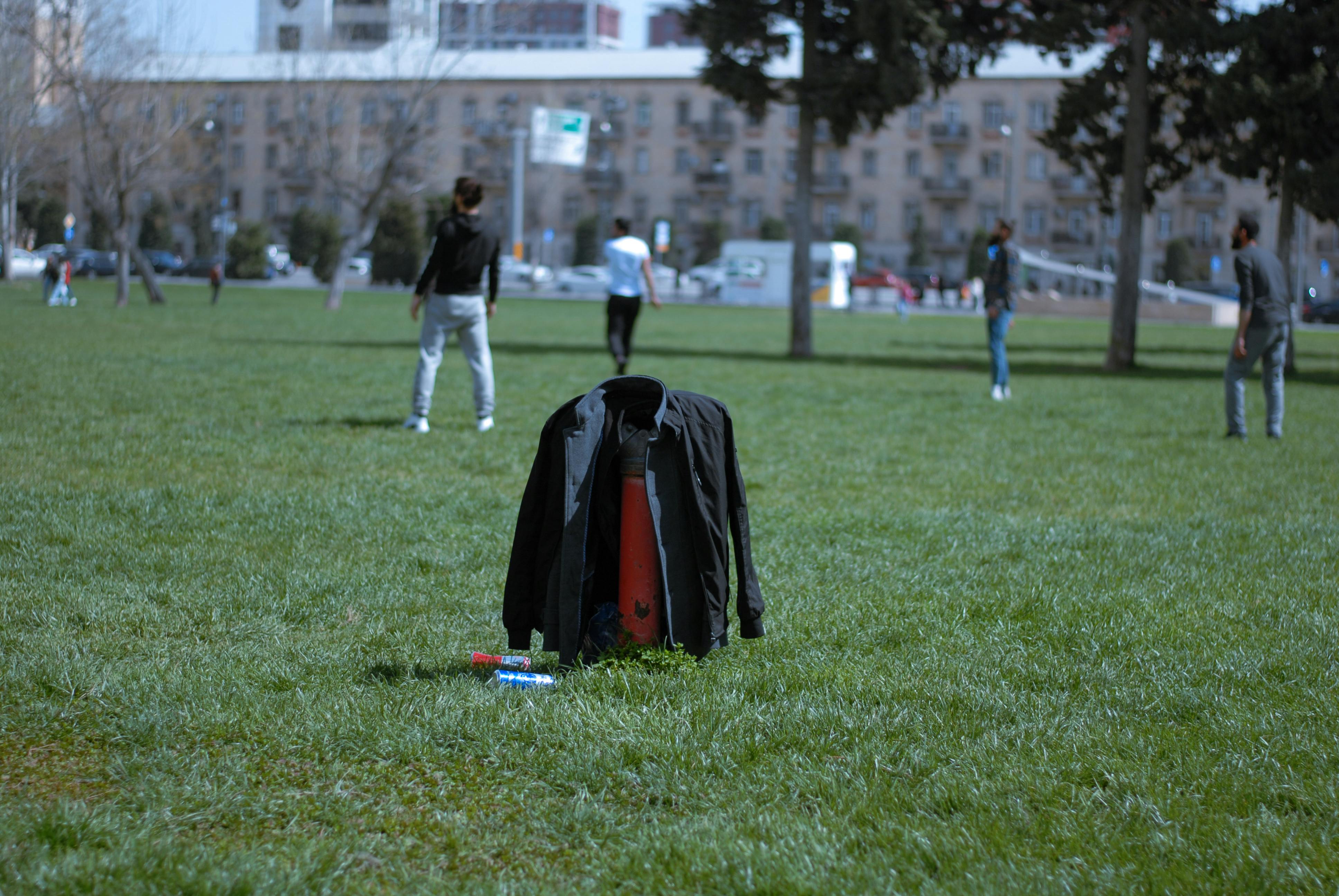 Hart Park Photos, Download The BEST Free Hart Park Stock Photos & HD Images