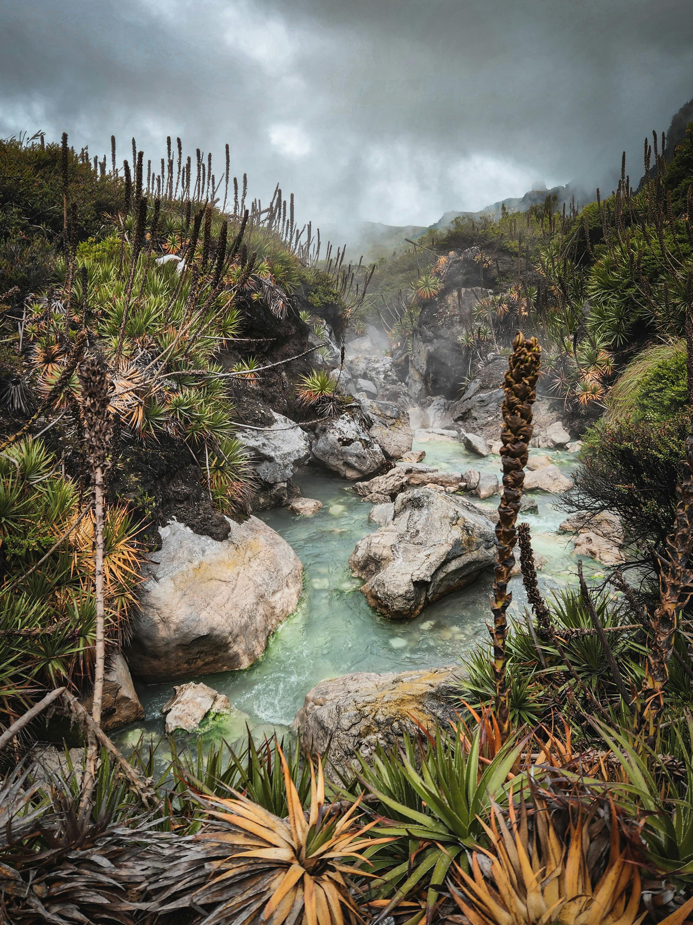 Hot Water in Tropical Landscape · Free Stock Photo