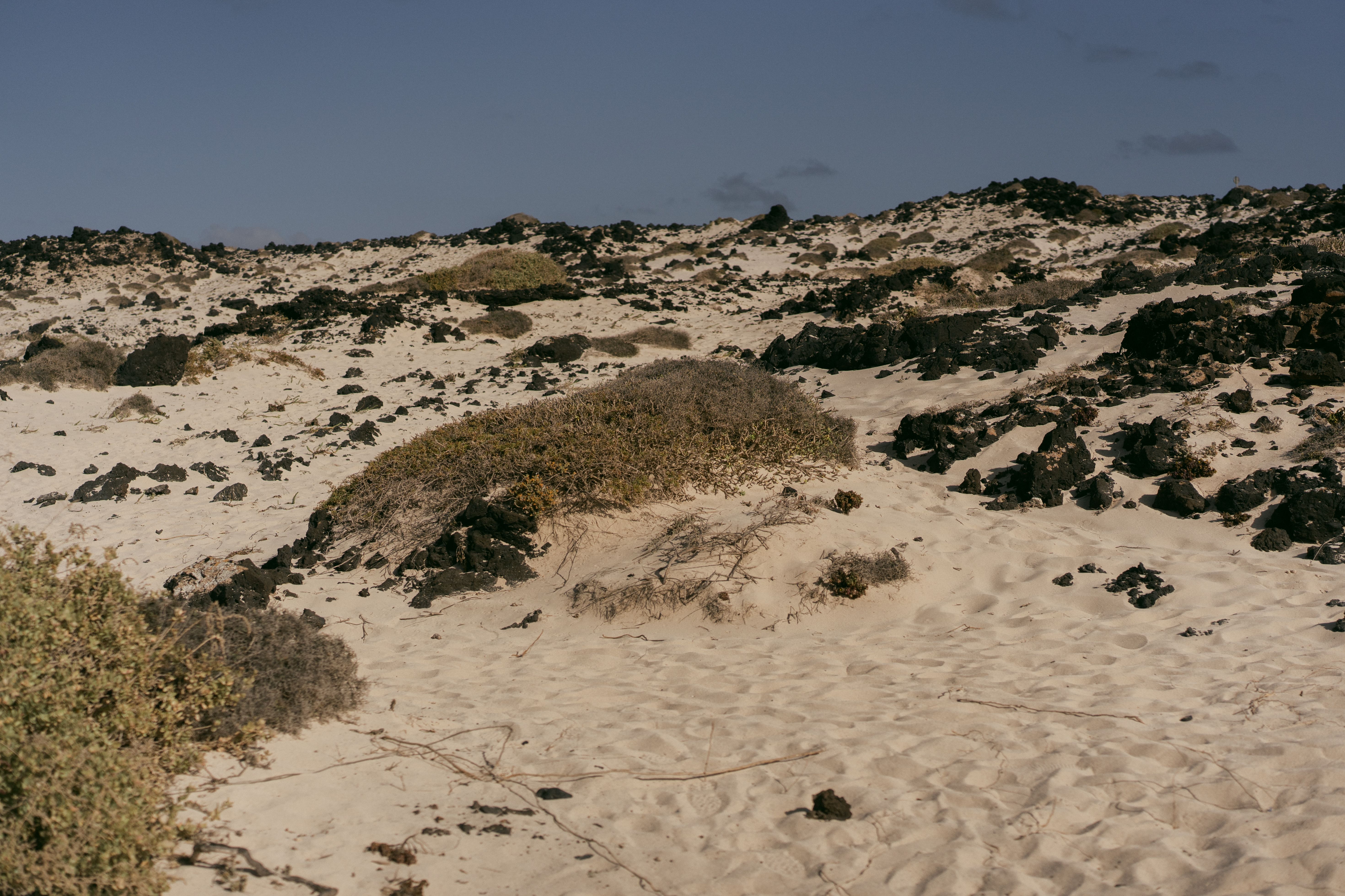 Sand in Wasteland · Free Stock Photo