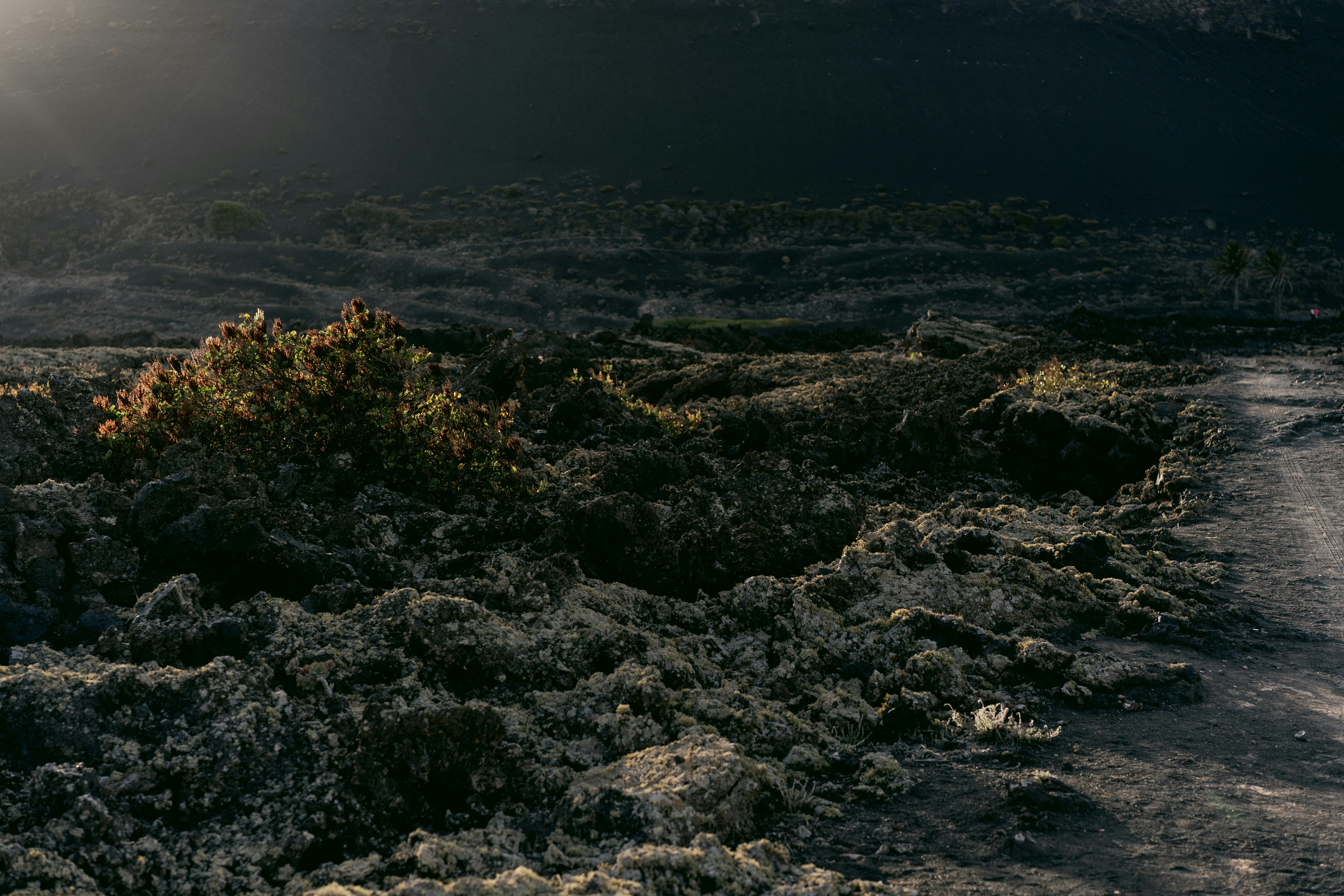 Rocks on Ground · Free Stock Photo
