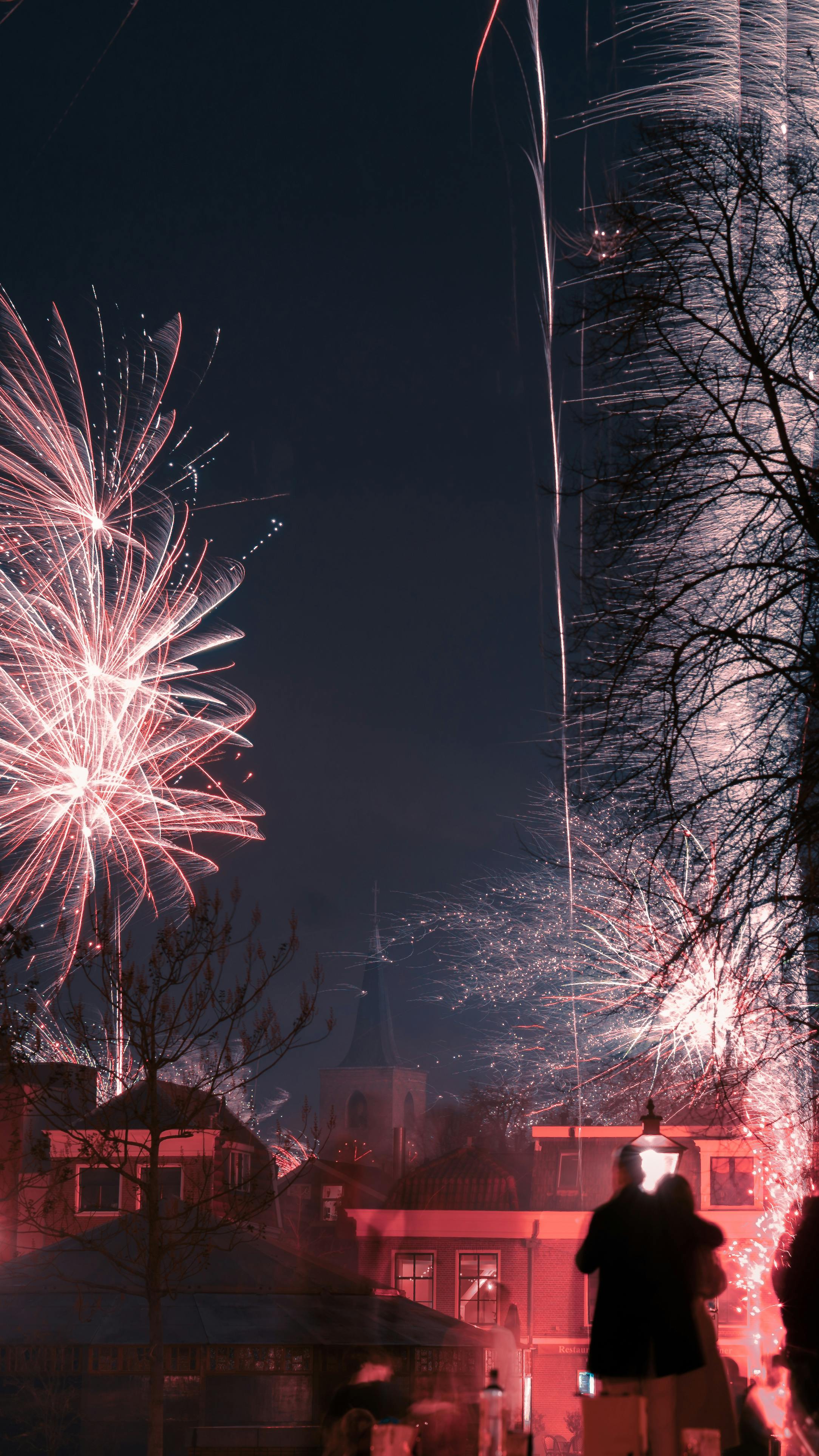 Blue and Red Brocade Fireworks at Night · Free Stock Photo