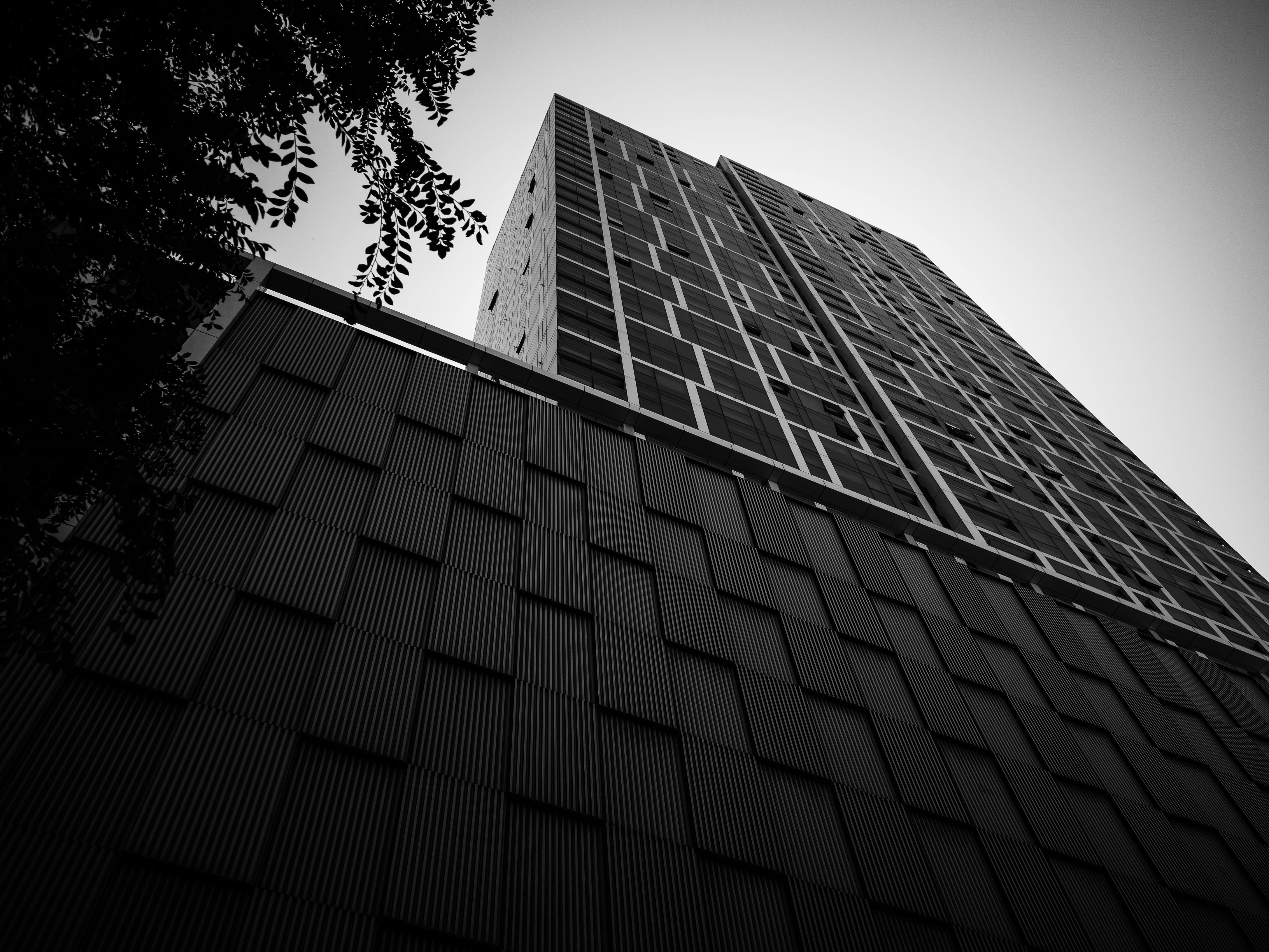 Downtown Modern Architecture · Free Stock Photo