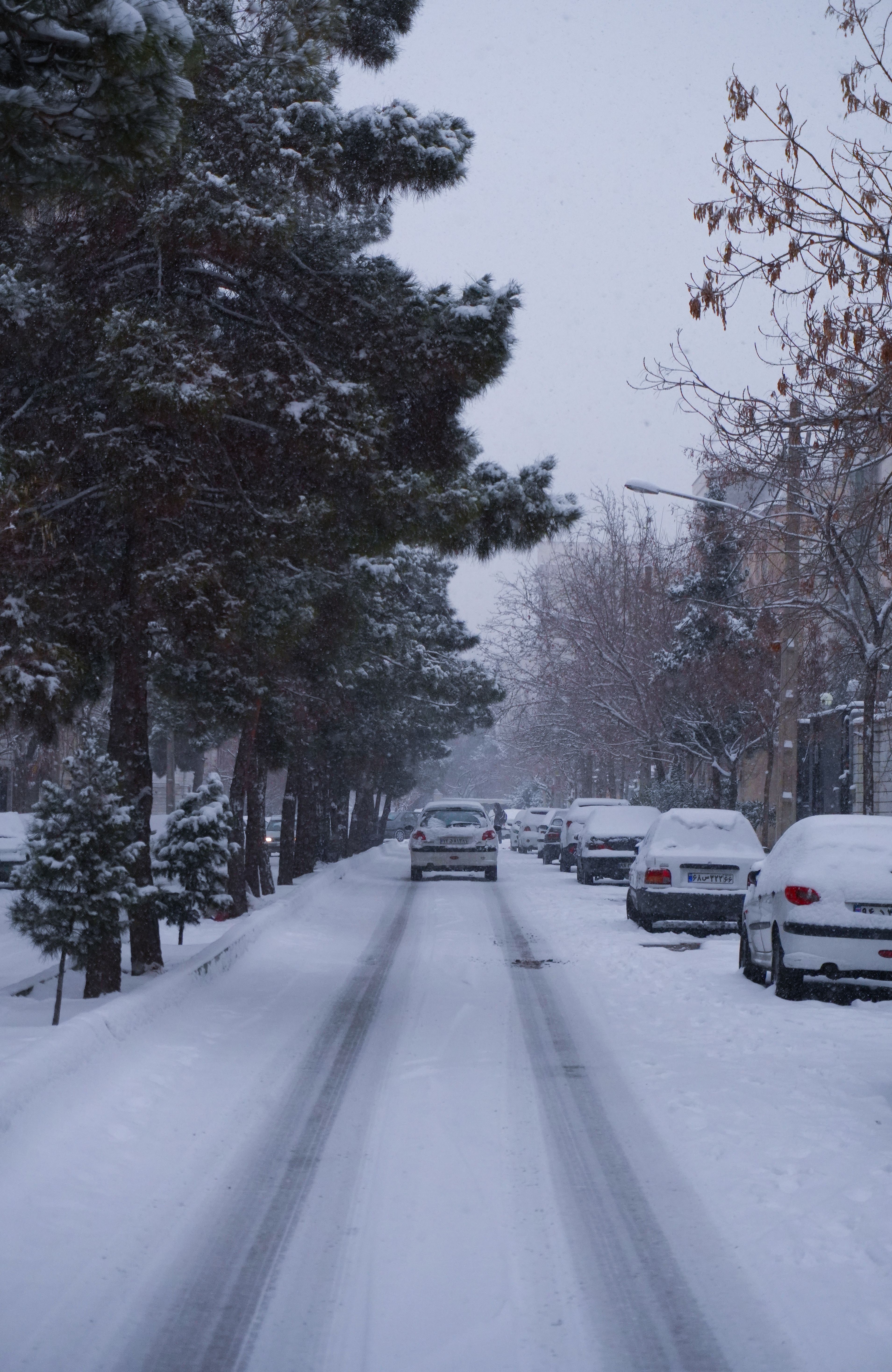 Cars on the Road During Winter · Free Stock Photo