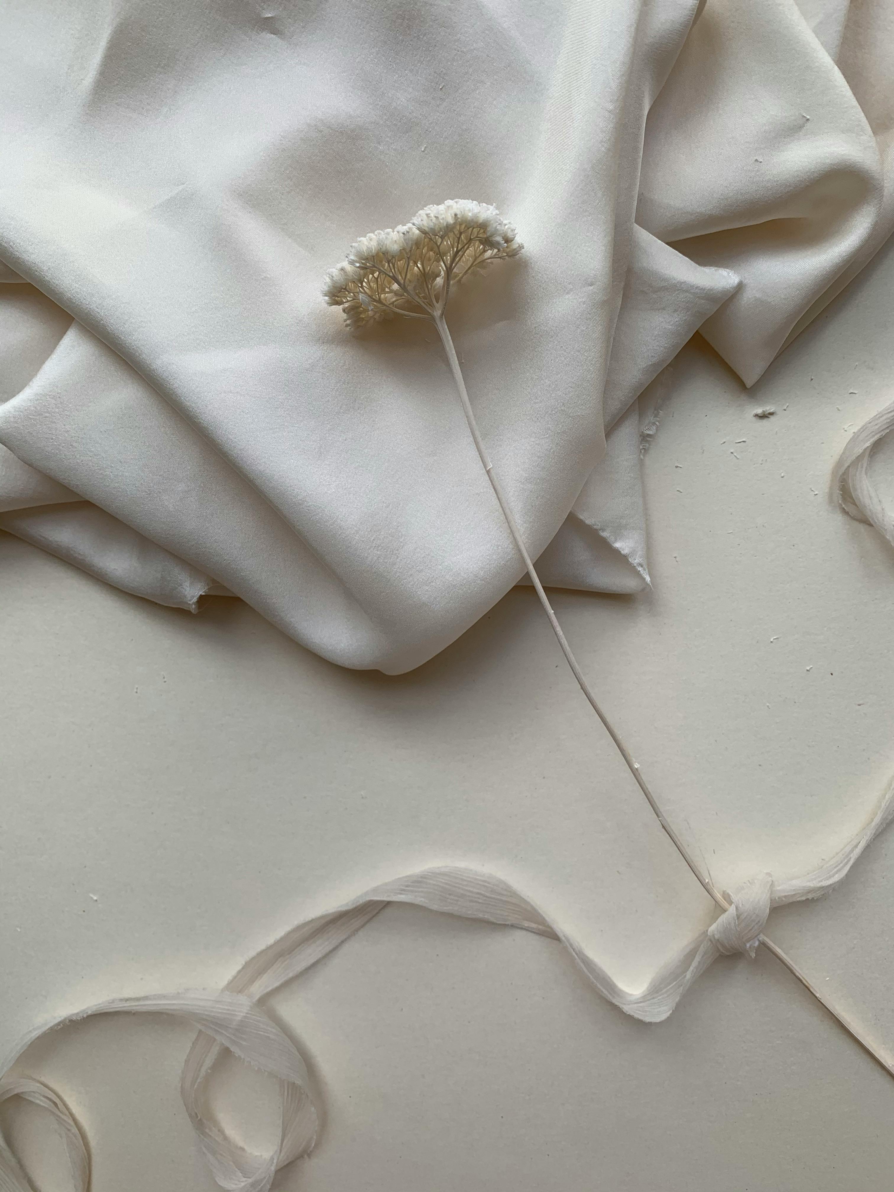 Delicate Flower on Cloth · Free Stock Photo