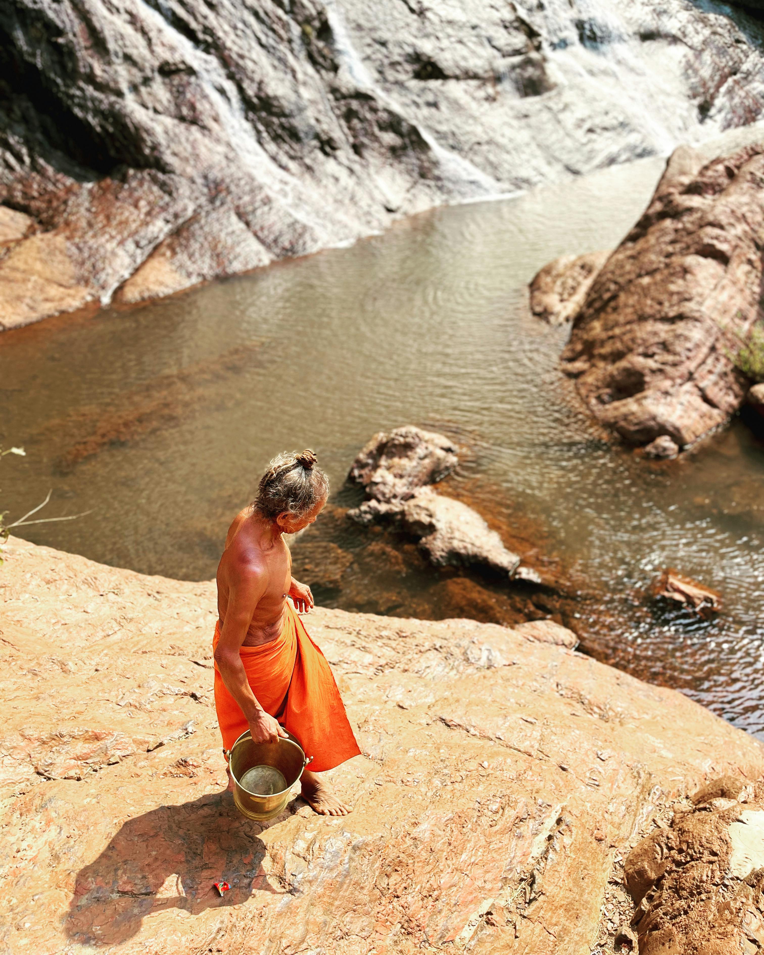 Tree Growing at Rock Formation · Free Stock Photo