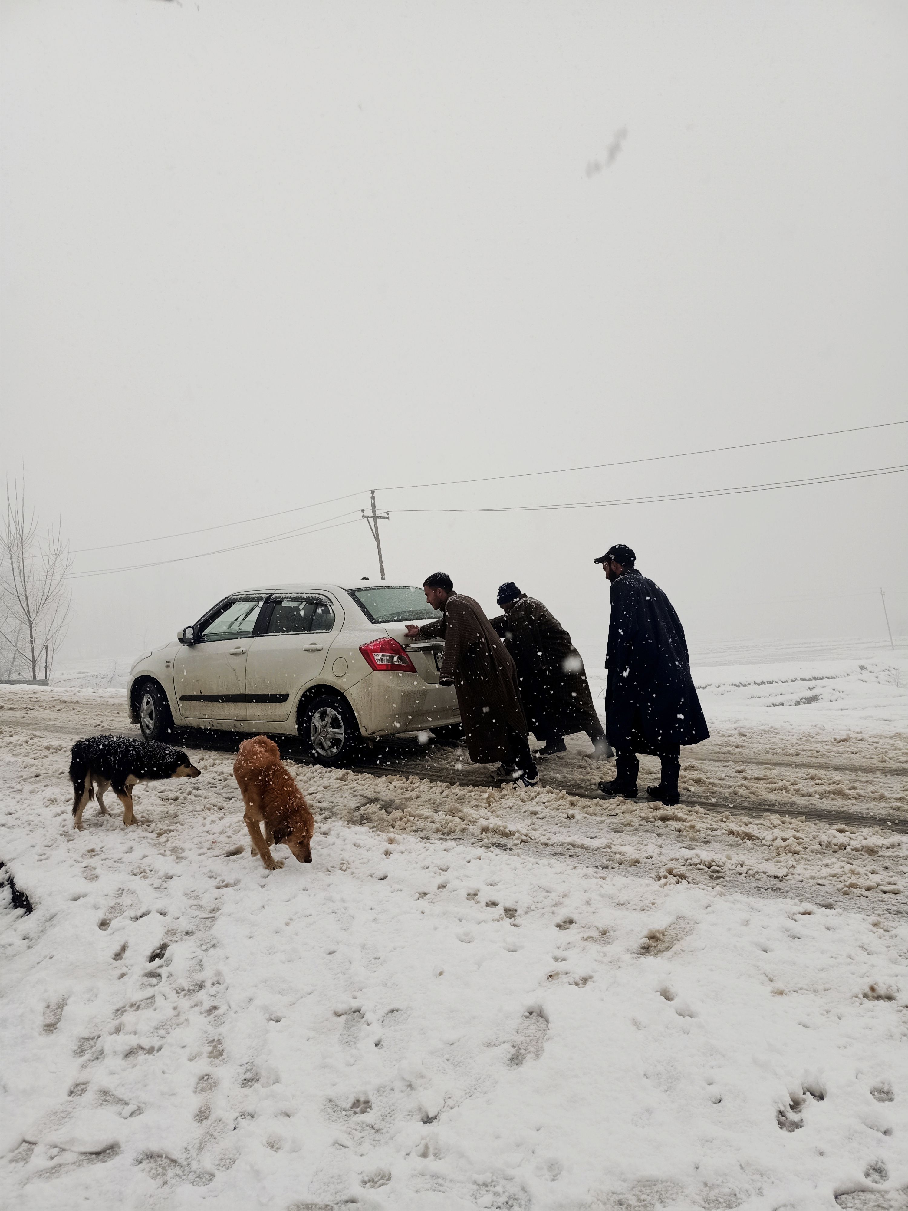 Three People In The Ice Pushing Something As A Teamwork Photos ...