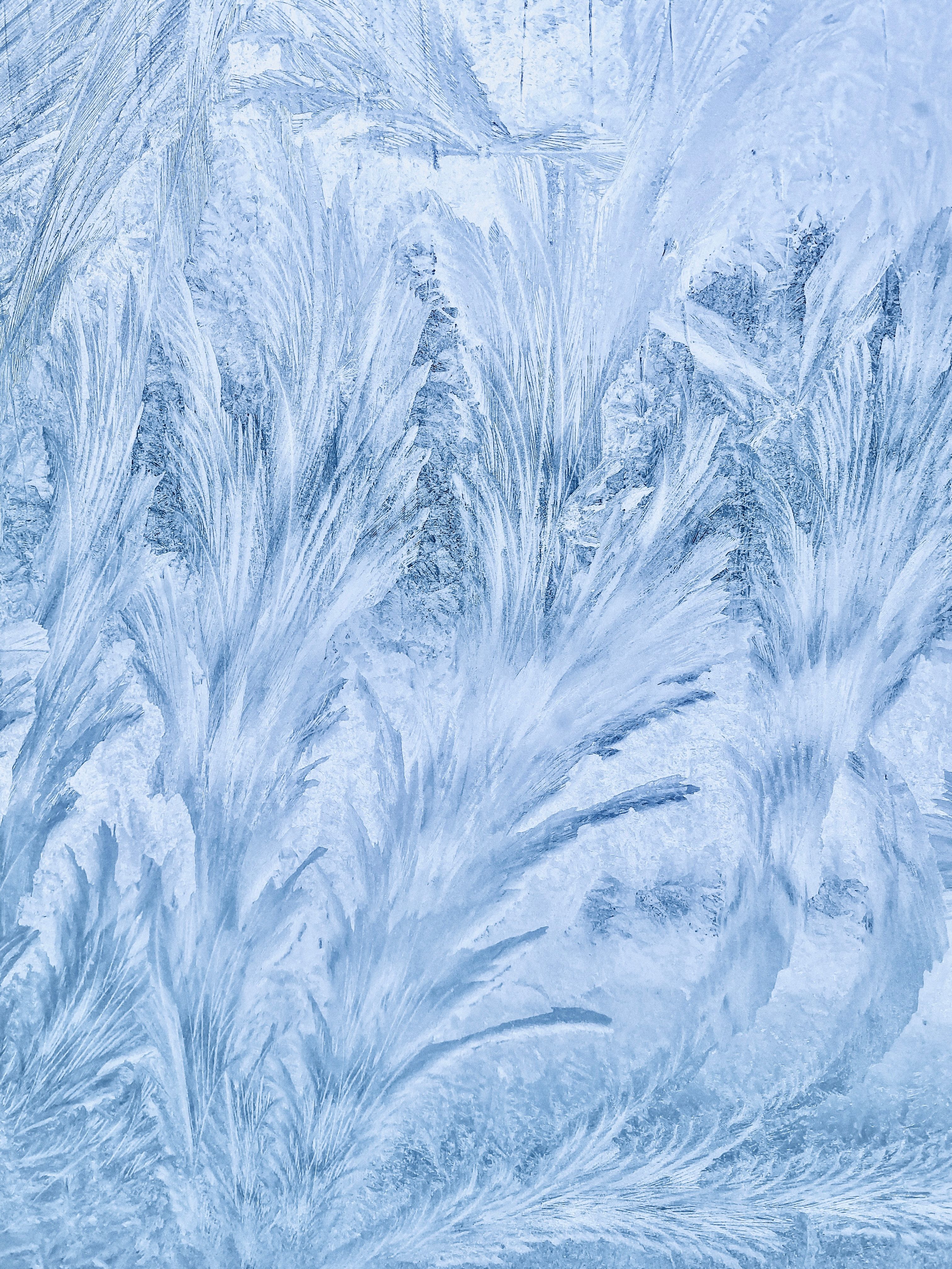 Ice Beside the Rock · Free Stock Photo