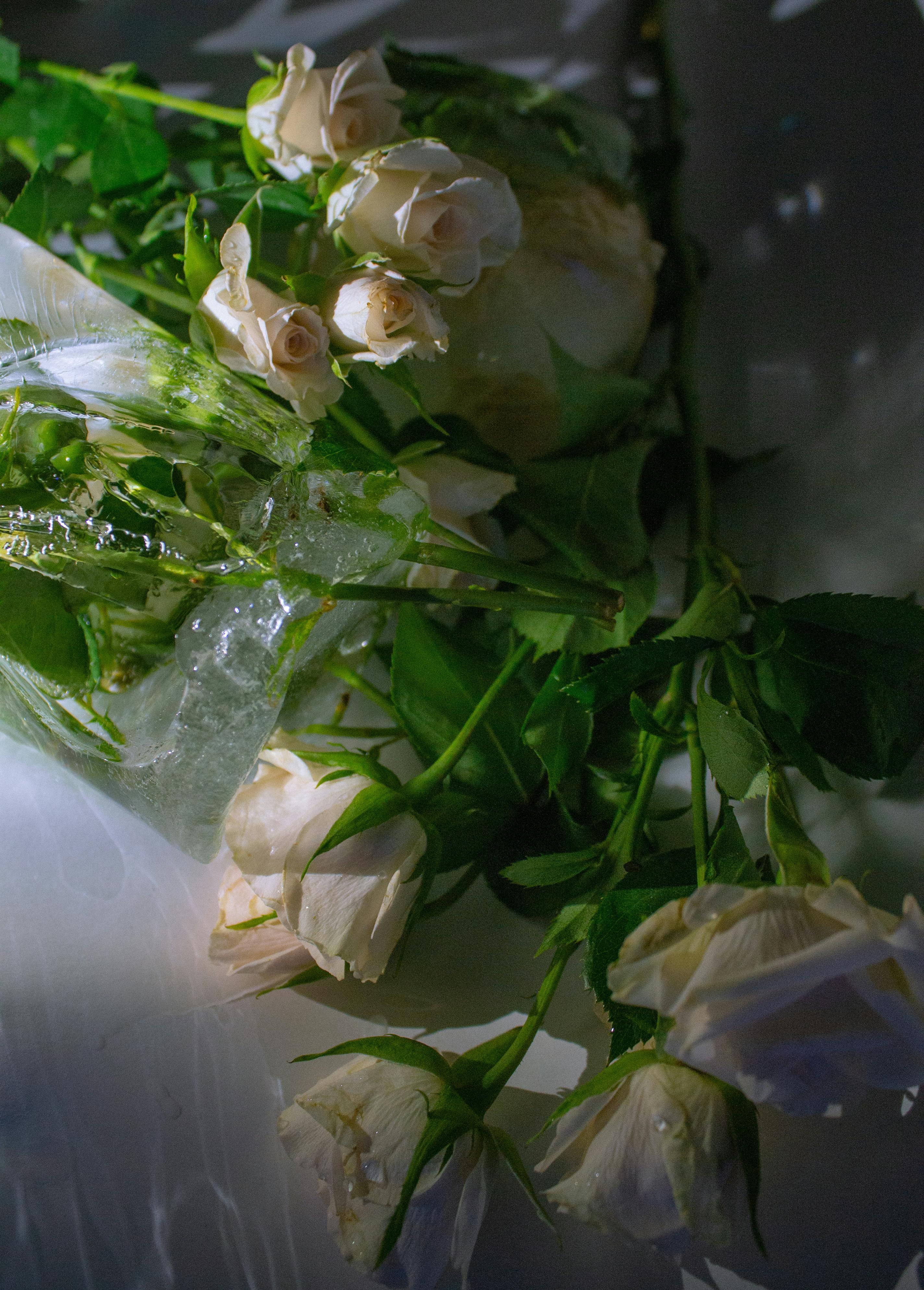White Roses on Wooden Table · Free Stock Photo