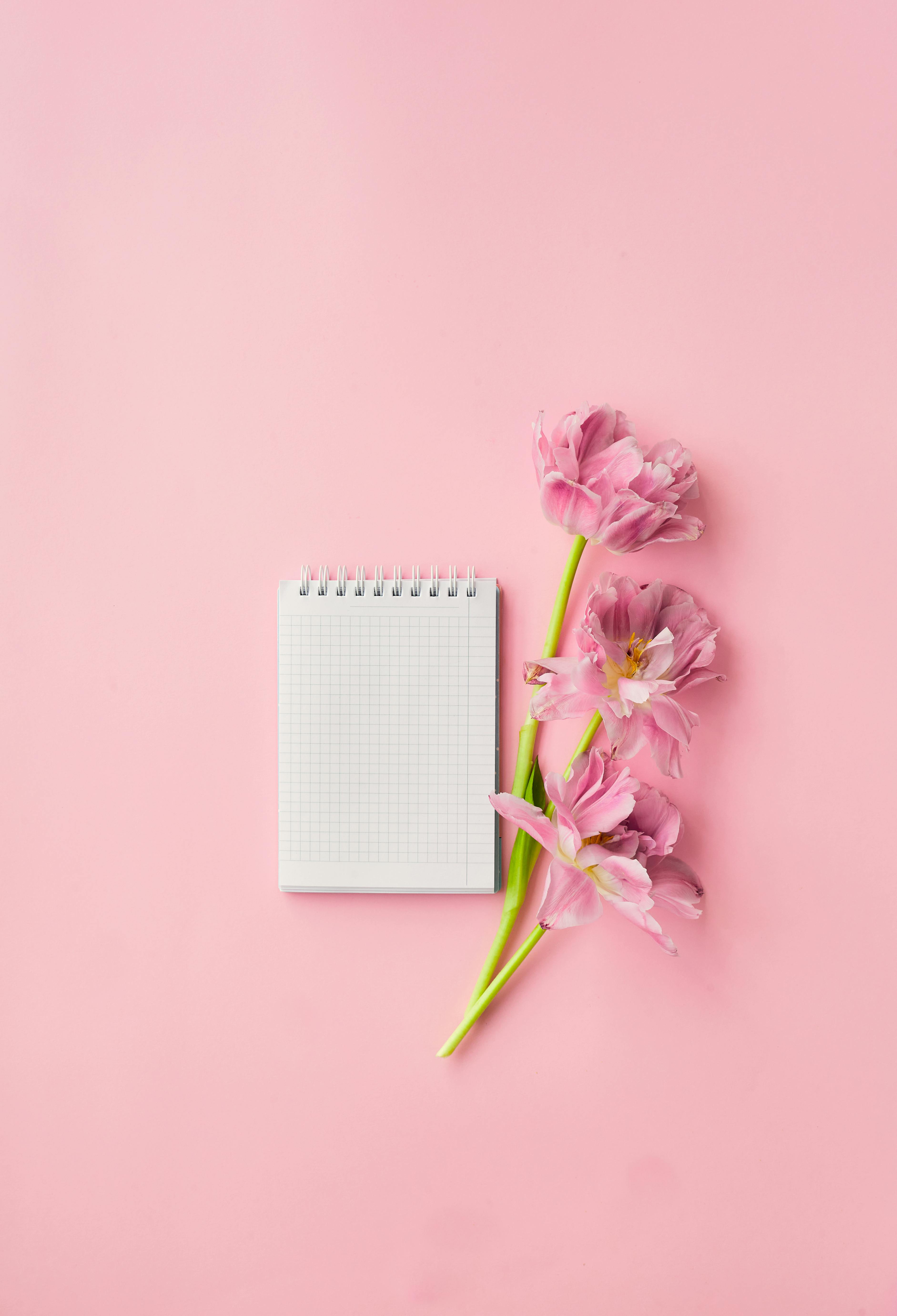 Composition Notebook Background Photos, Download The BEST Free ... Composition Notebook Background Photos, Download The BEST Free ...