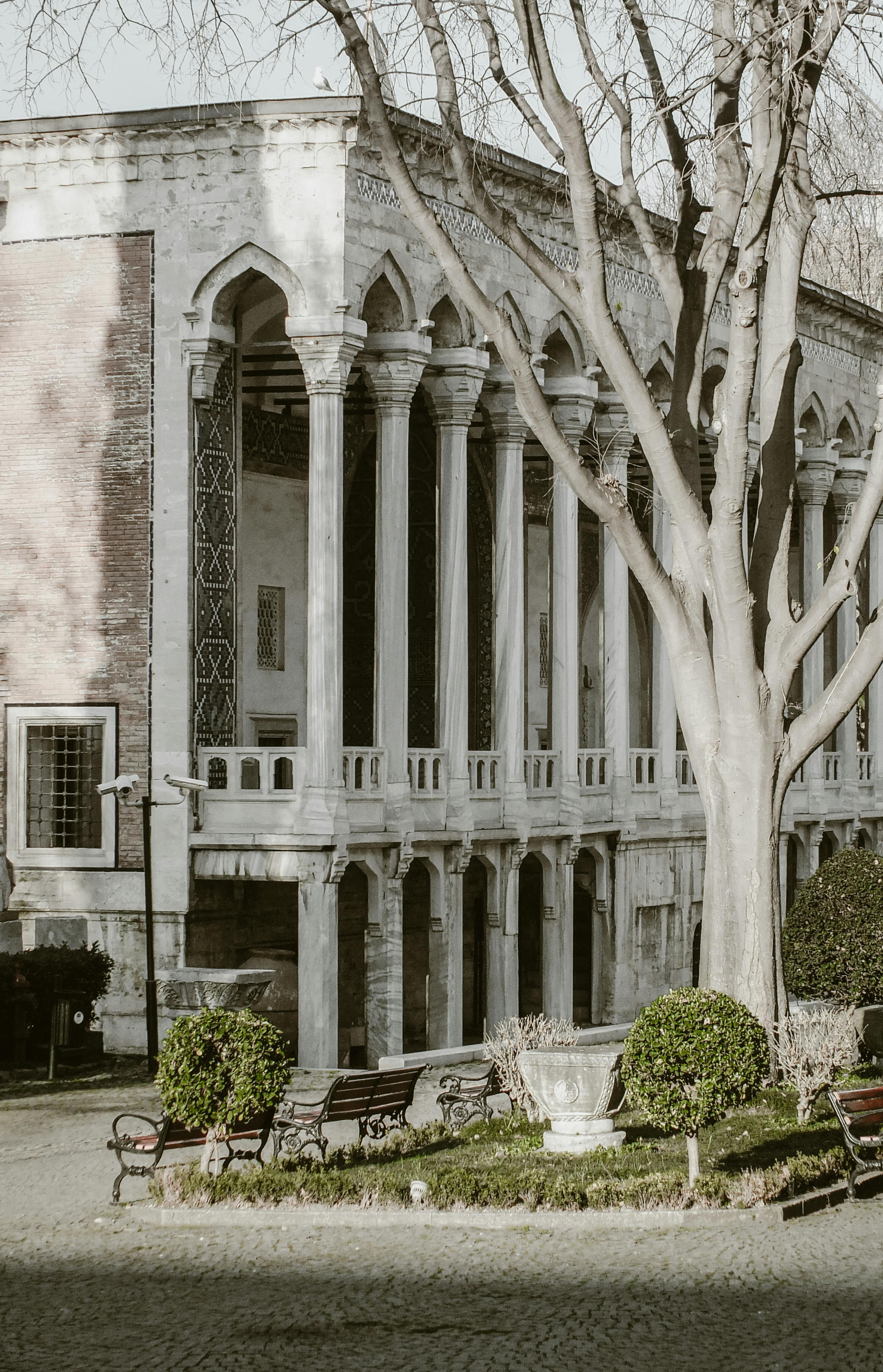 Concrete Building with Columns Near Bare Tree · Free Stock Photo