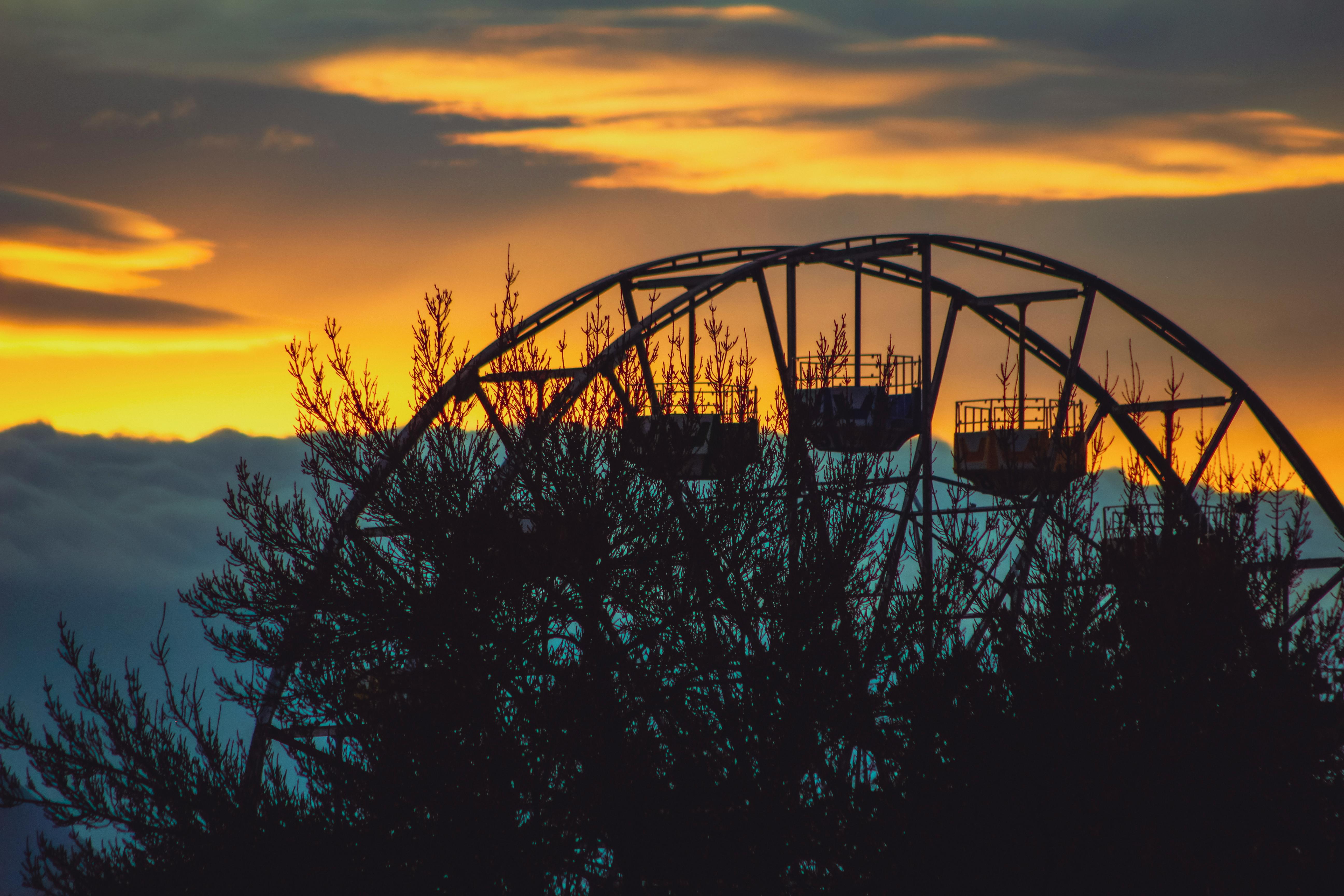 Ferris Wheel Near Tree during Sunset · Free Stock Photo