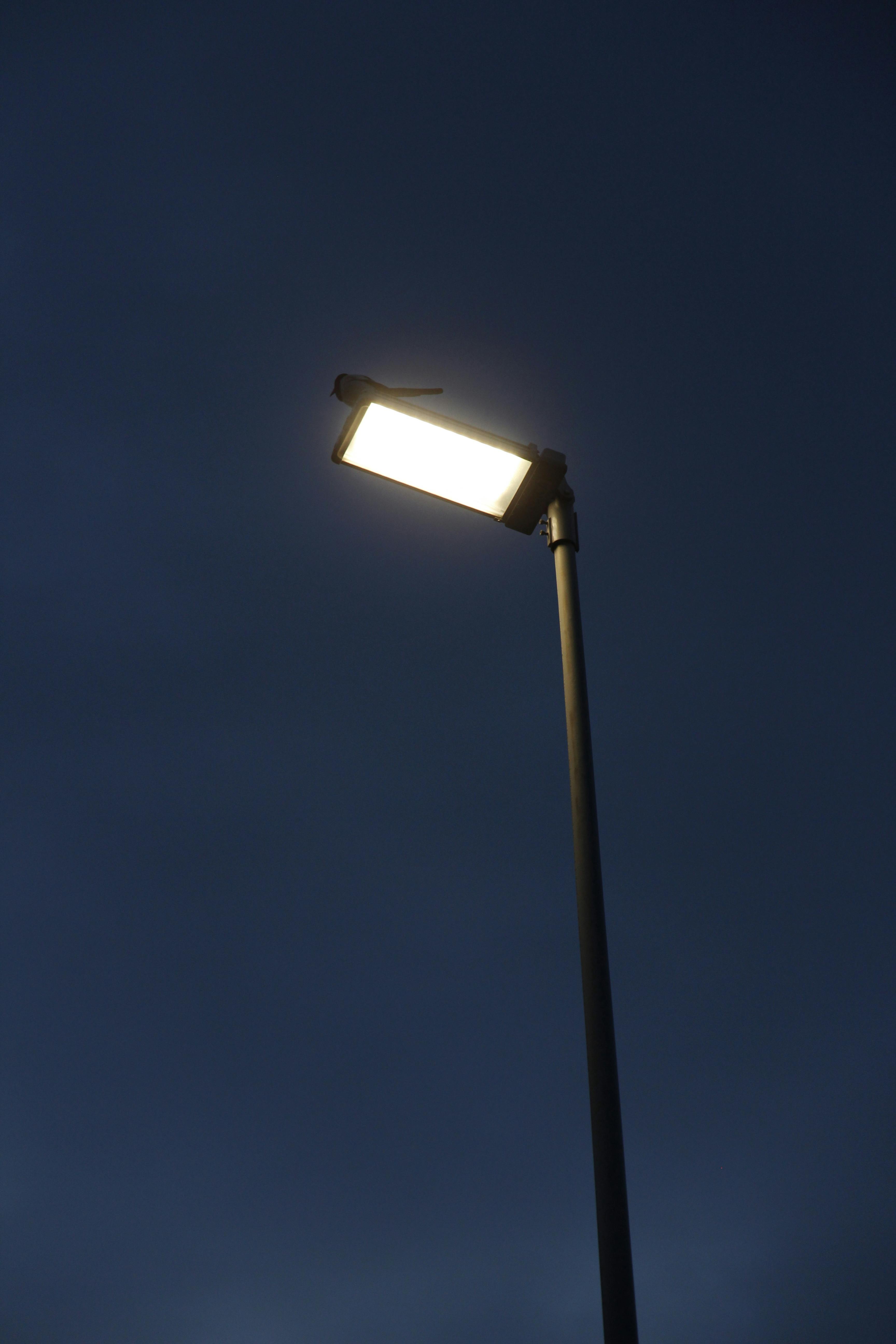 Photograph of a Street Light · Free Stock Photo