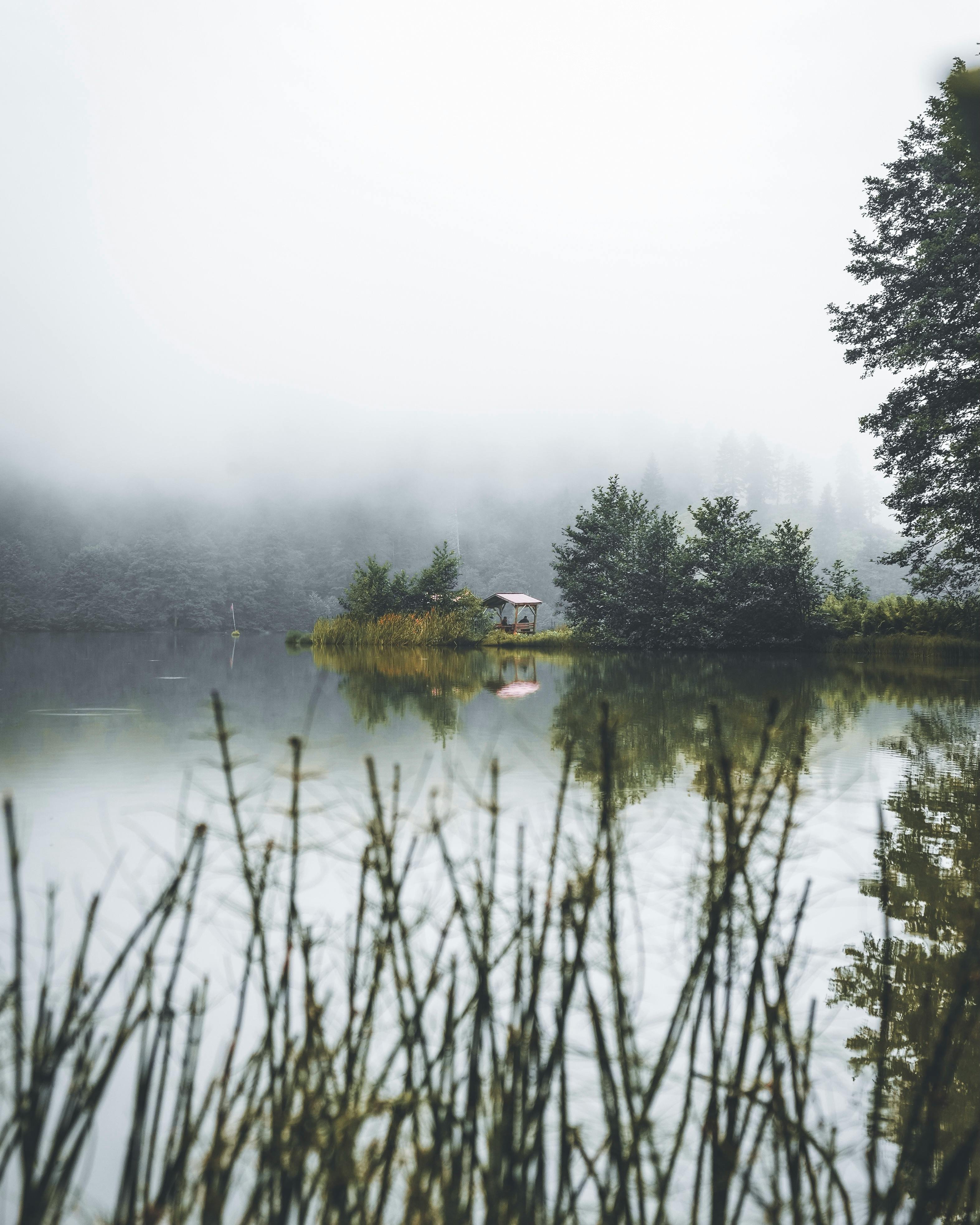 Refreshing Scenery Photos, Download Free Refreshing Scenery Stock ...