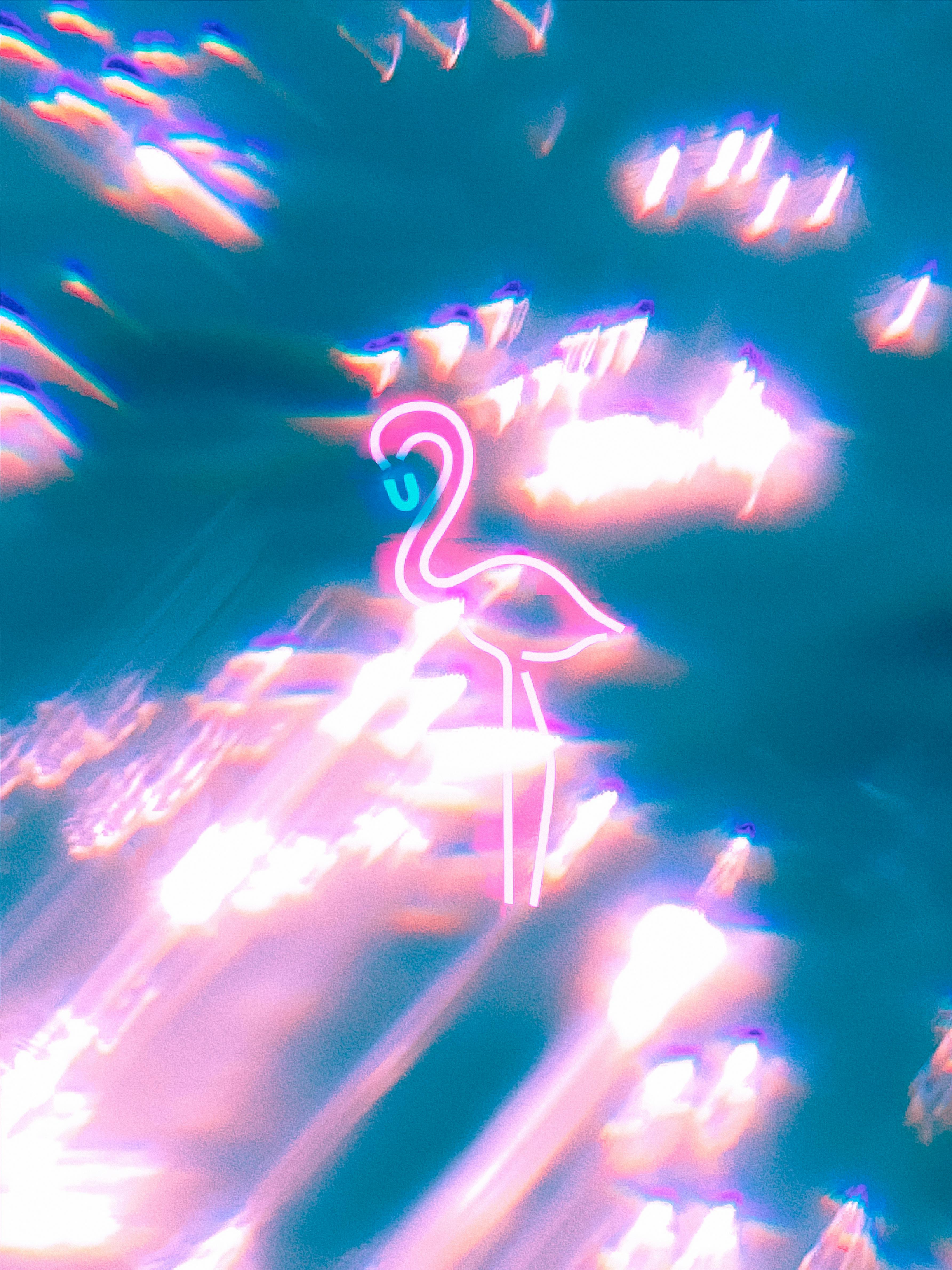 51.524+ Fotos y Imágenes de Rosa neón Gratis · Banco de Fotos Gratis