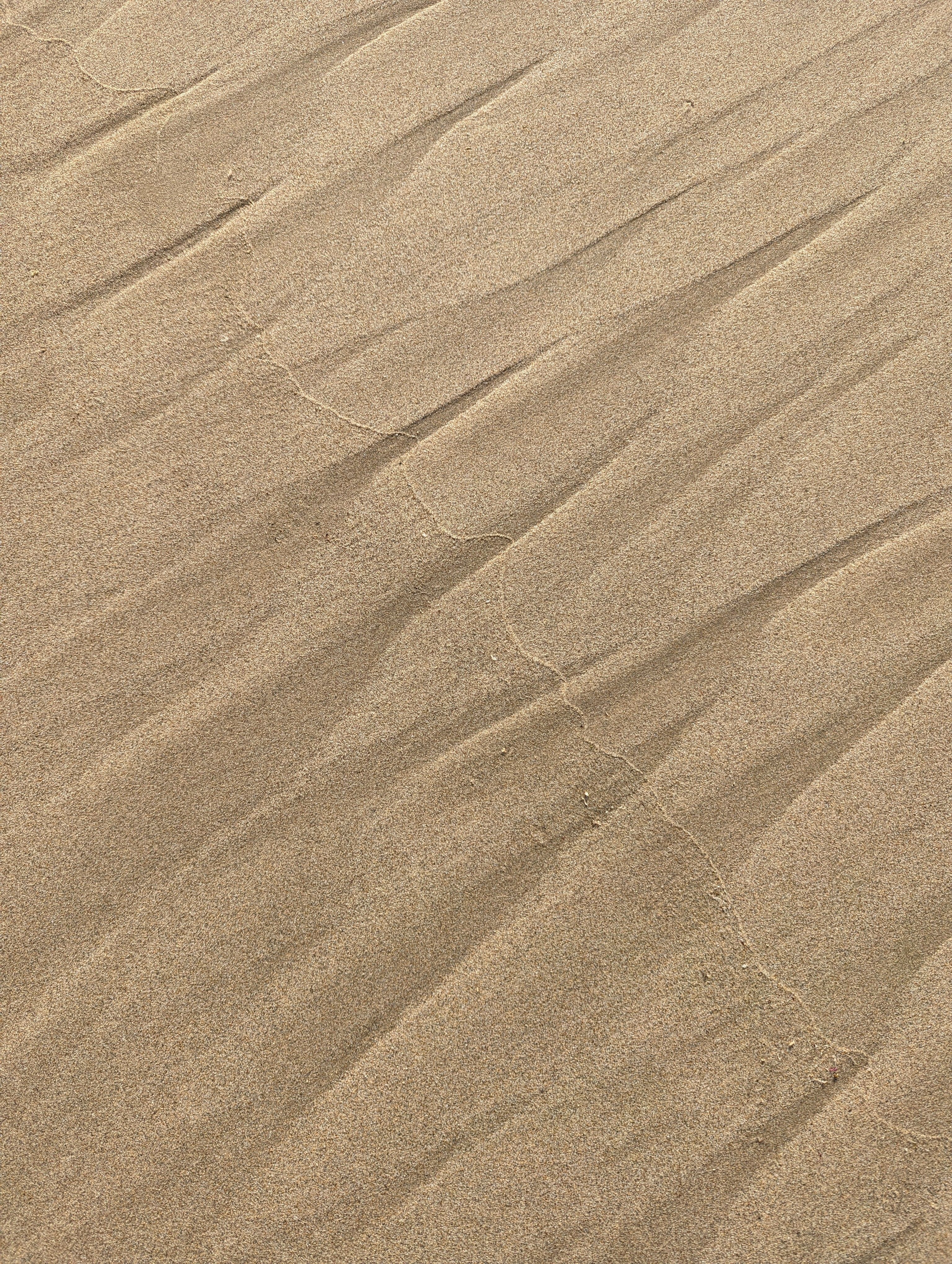 Sand on Beach or Desert · Free Stock Photo