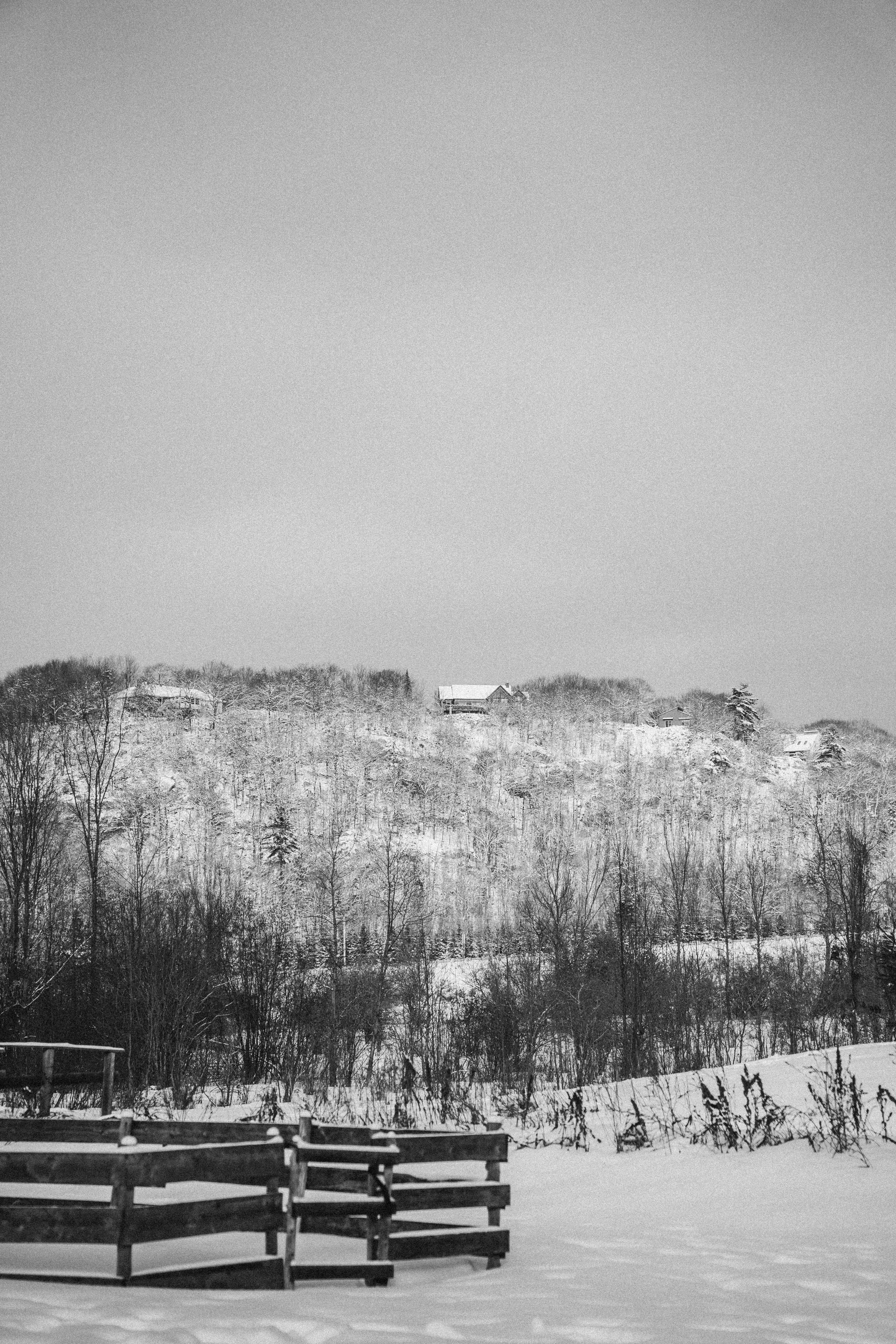Hill Scenery in Winter · Free Stock Photo