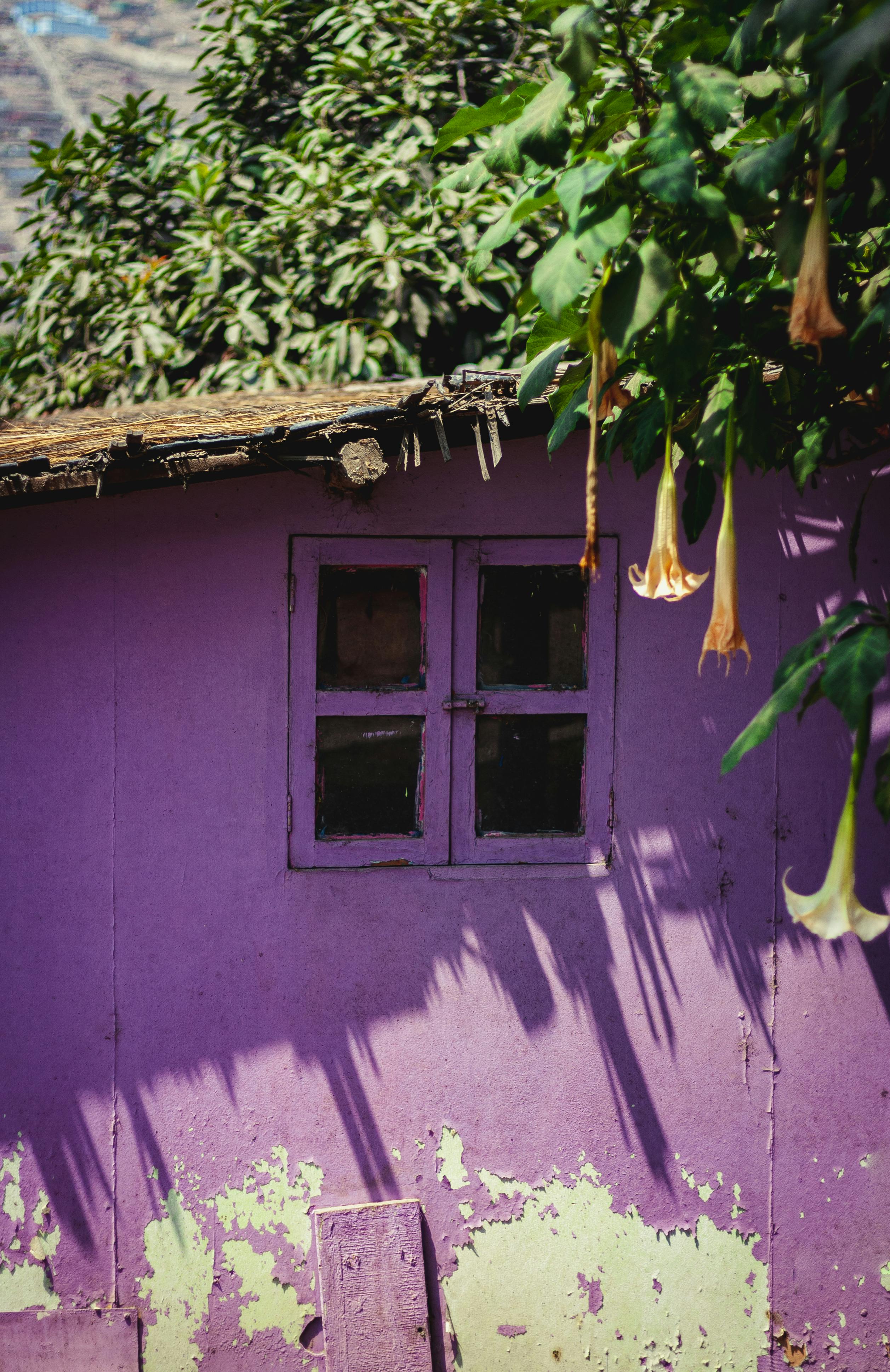 Purple Building Photos, Download The BEST Free Purple Building Stock ...