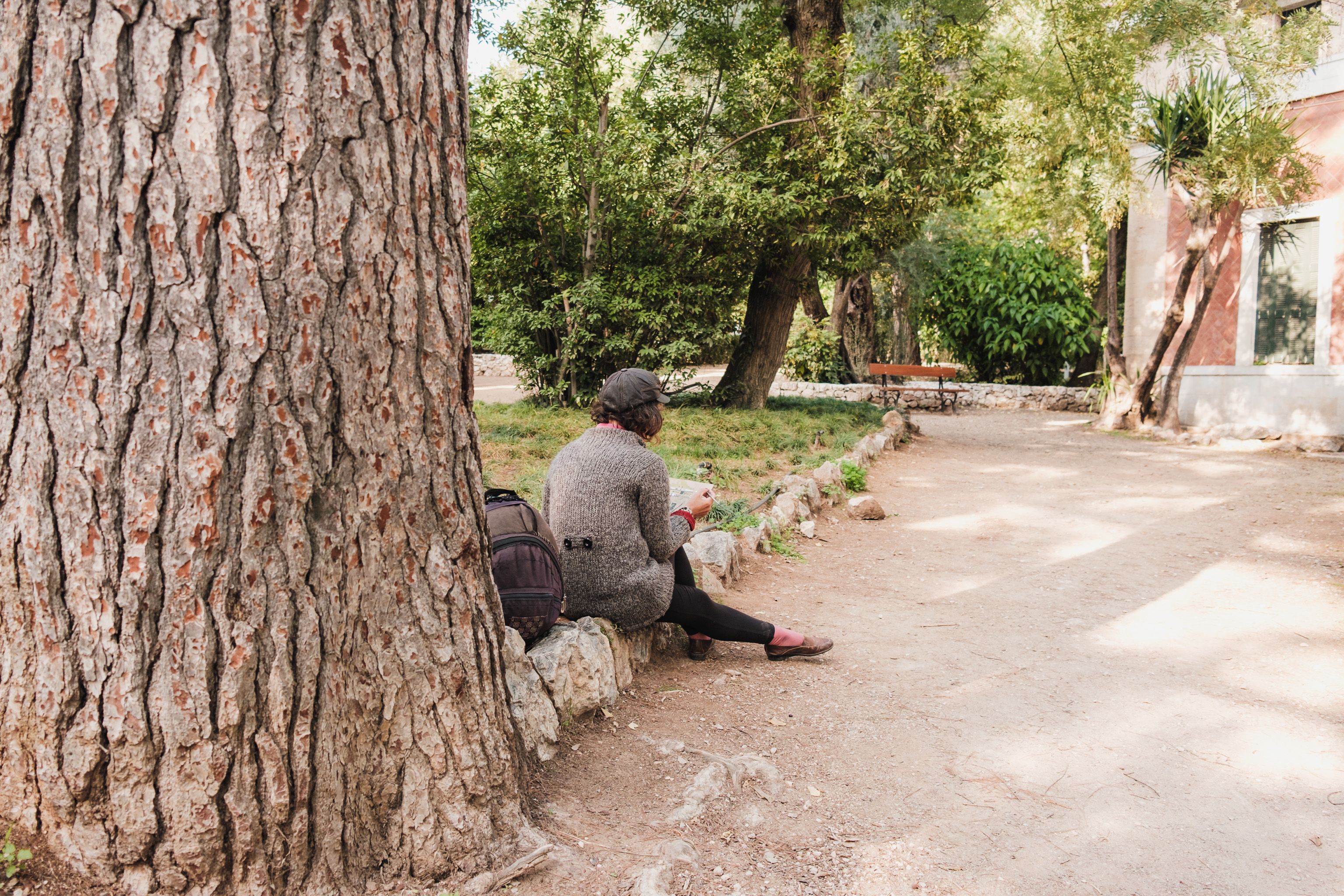 Woman Sitting in Park Between Trees · Free Stock Photo