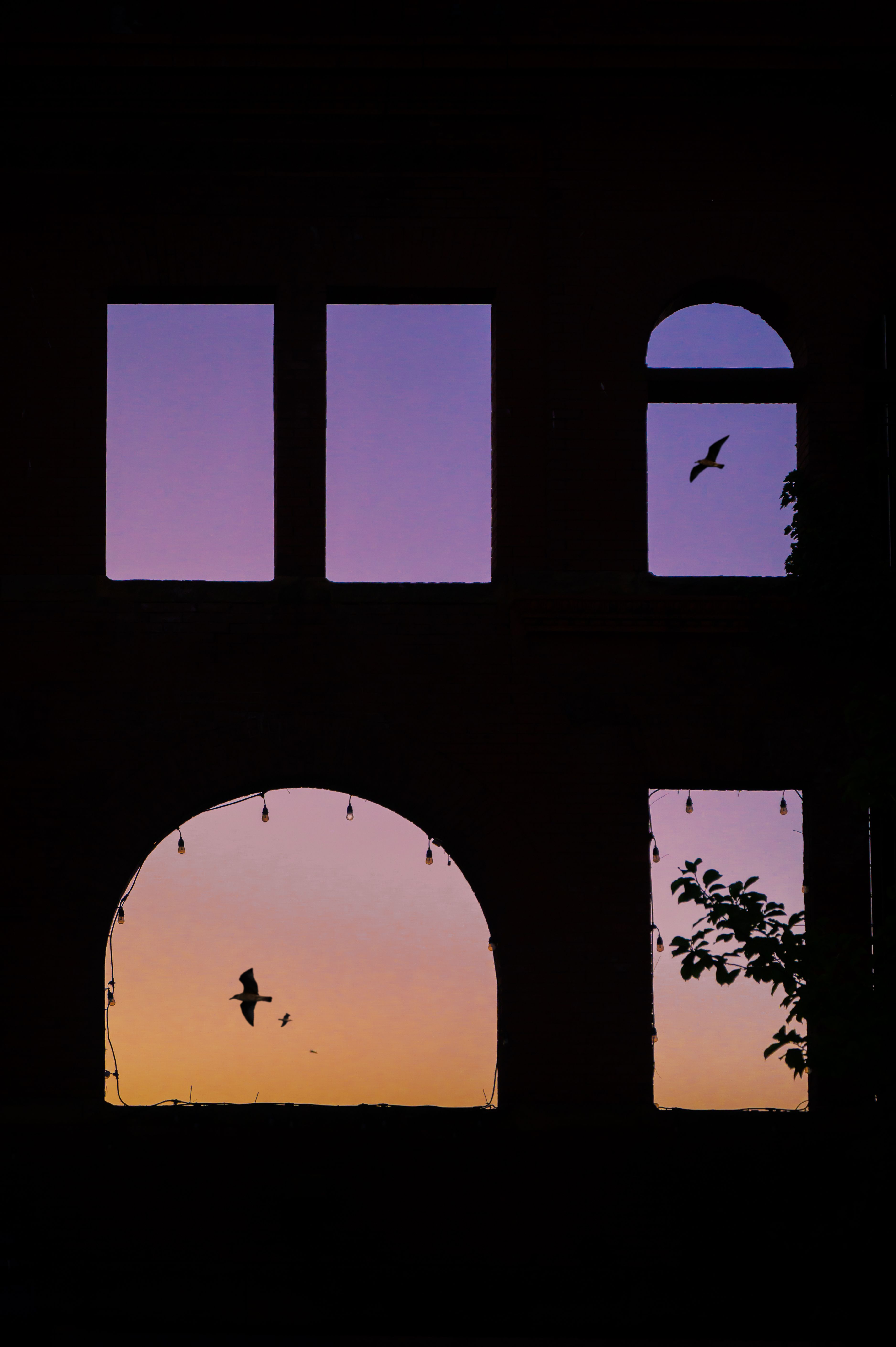 Birds Flying behind Building Wall Silhouette at Dusk · Free Stock Photo
