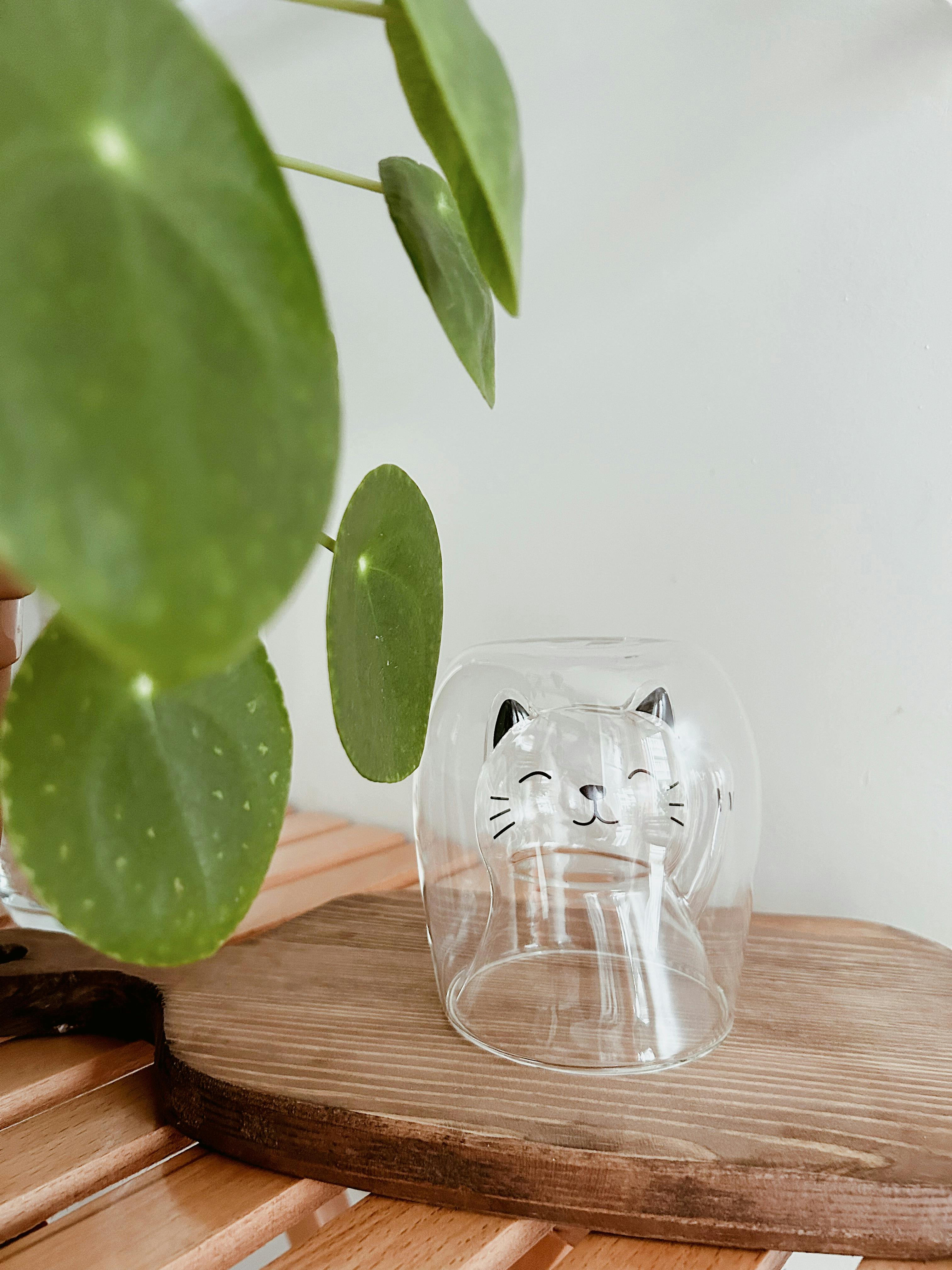 Coffee in Cat Shaped Glass on Table · Free Stock Photo