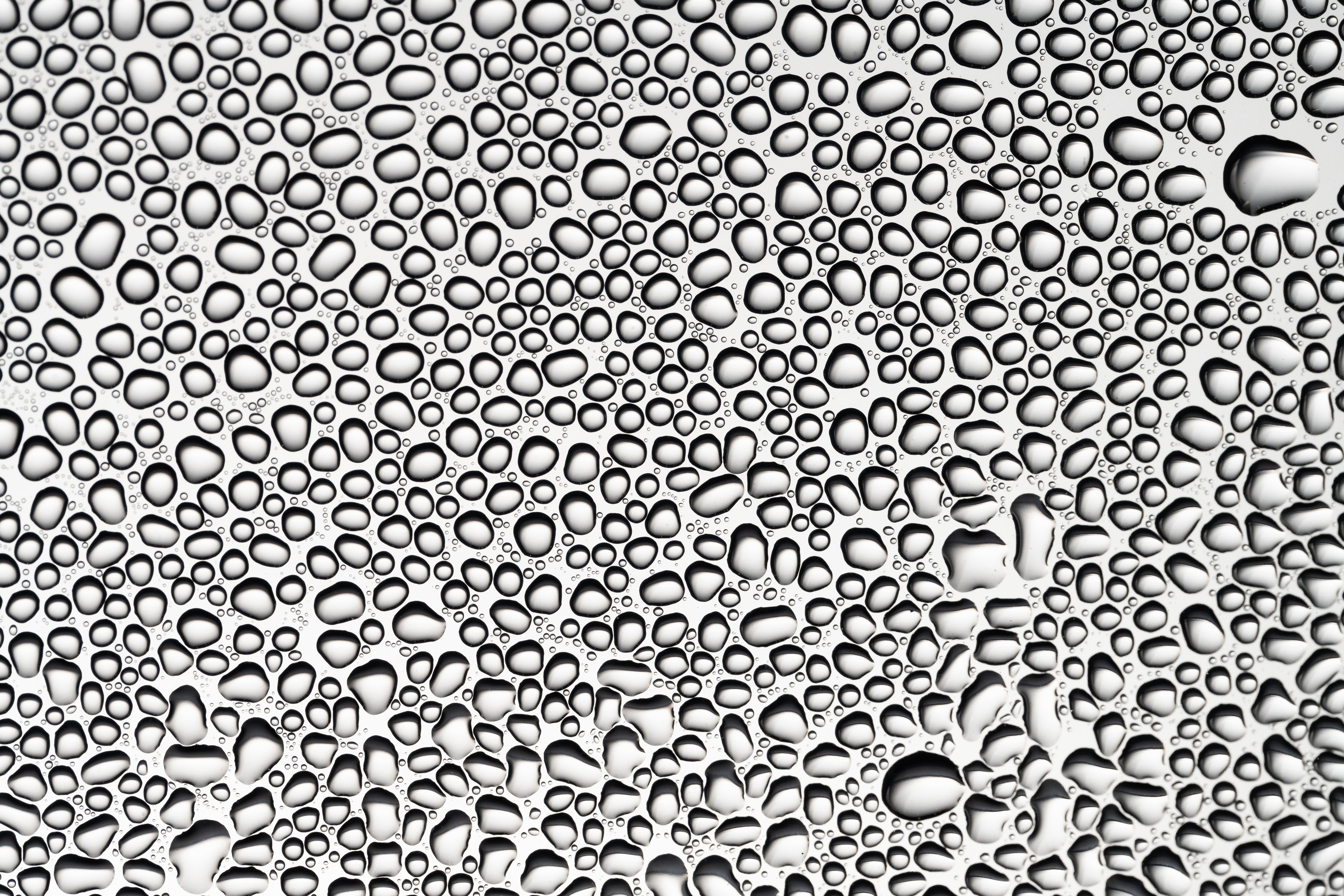Water Drops on White Background · Free Stock Photo