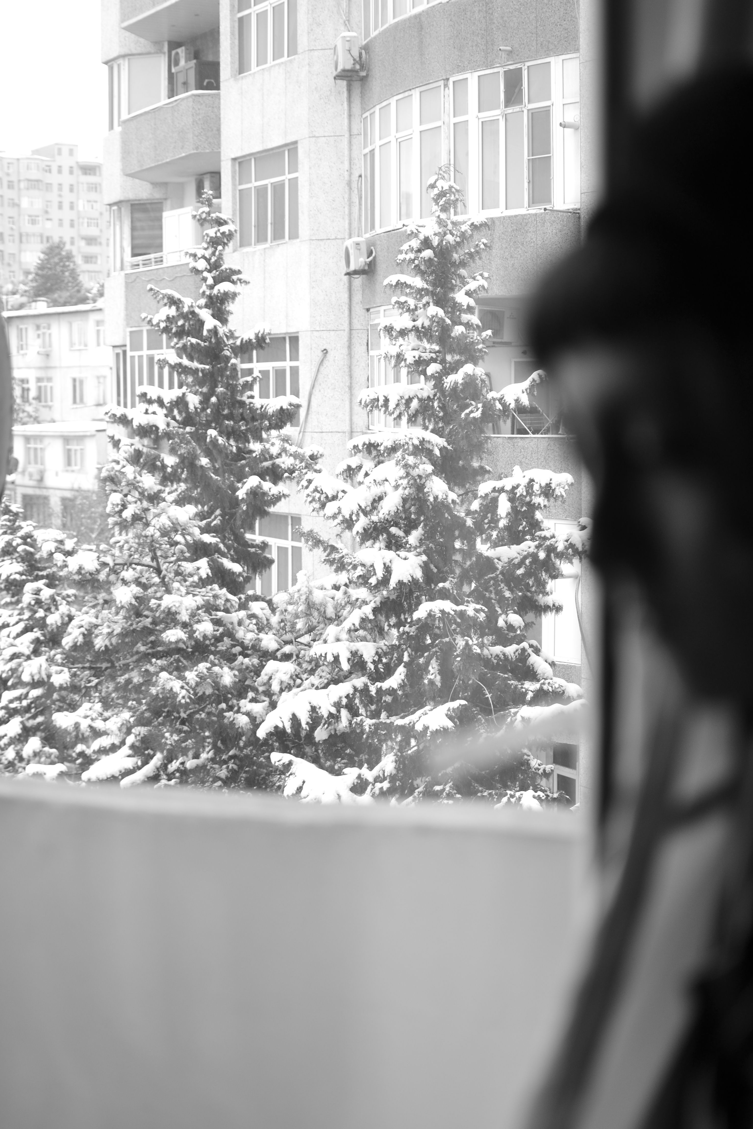 Gray Scale Photography Of A High Rise Buildings Photos, Download The ...