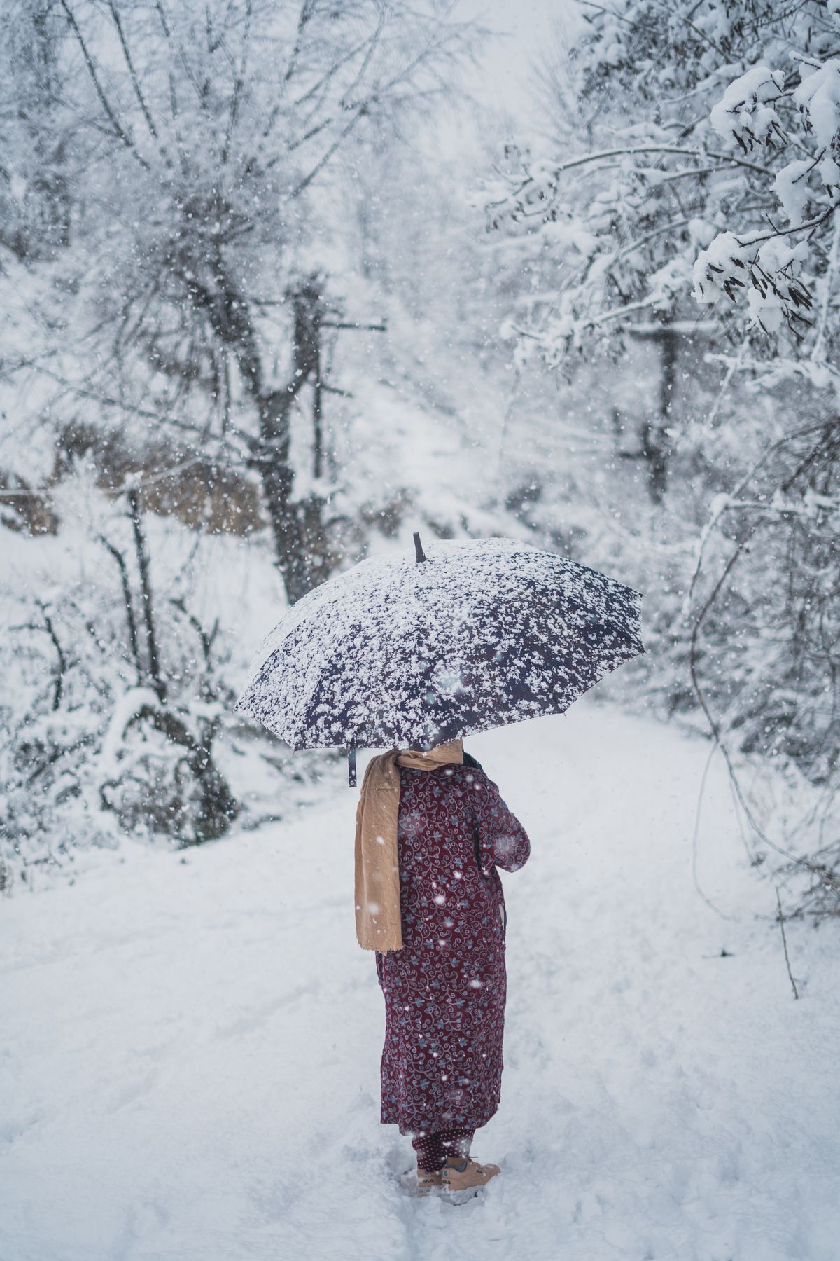 Kashmir Snow Photos, Download The BEST Free Kashmir Snow Stock Photos ...