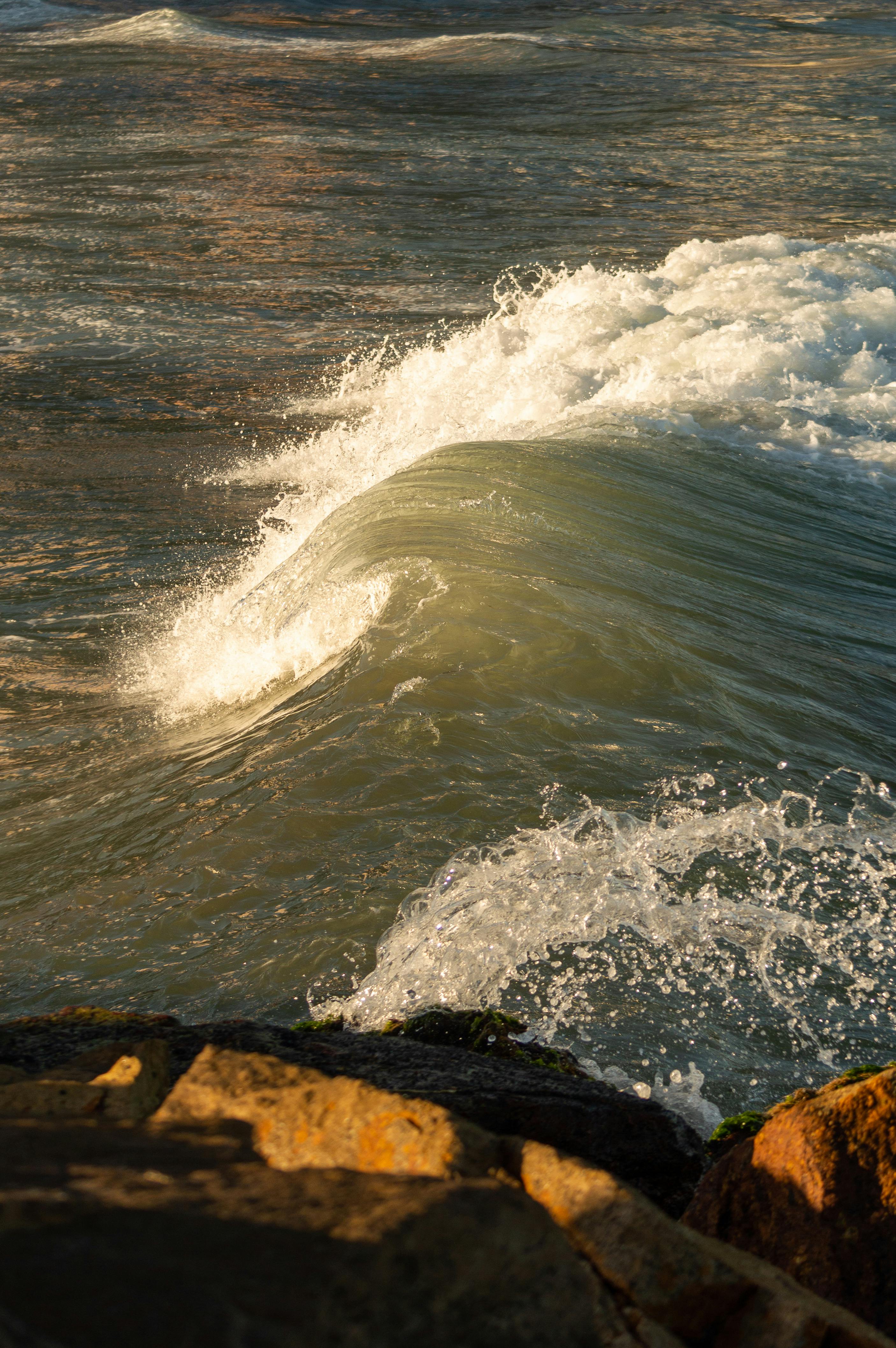 Rogue Wave Photos, Download The BEST Free Rogue Wave Stock Photos & HD ...