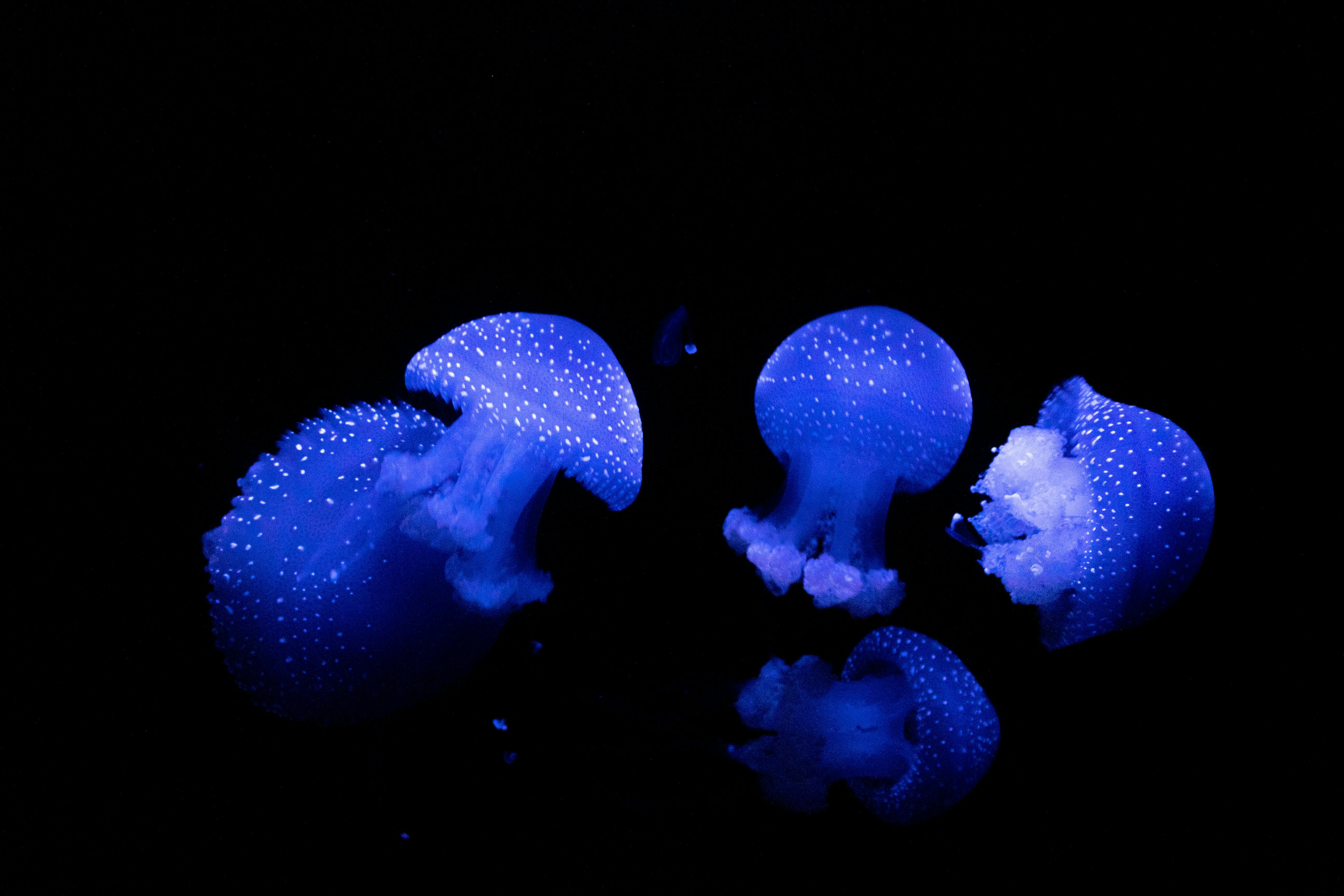 David Lucio - Photography