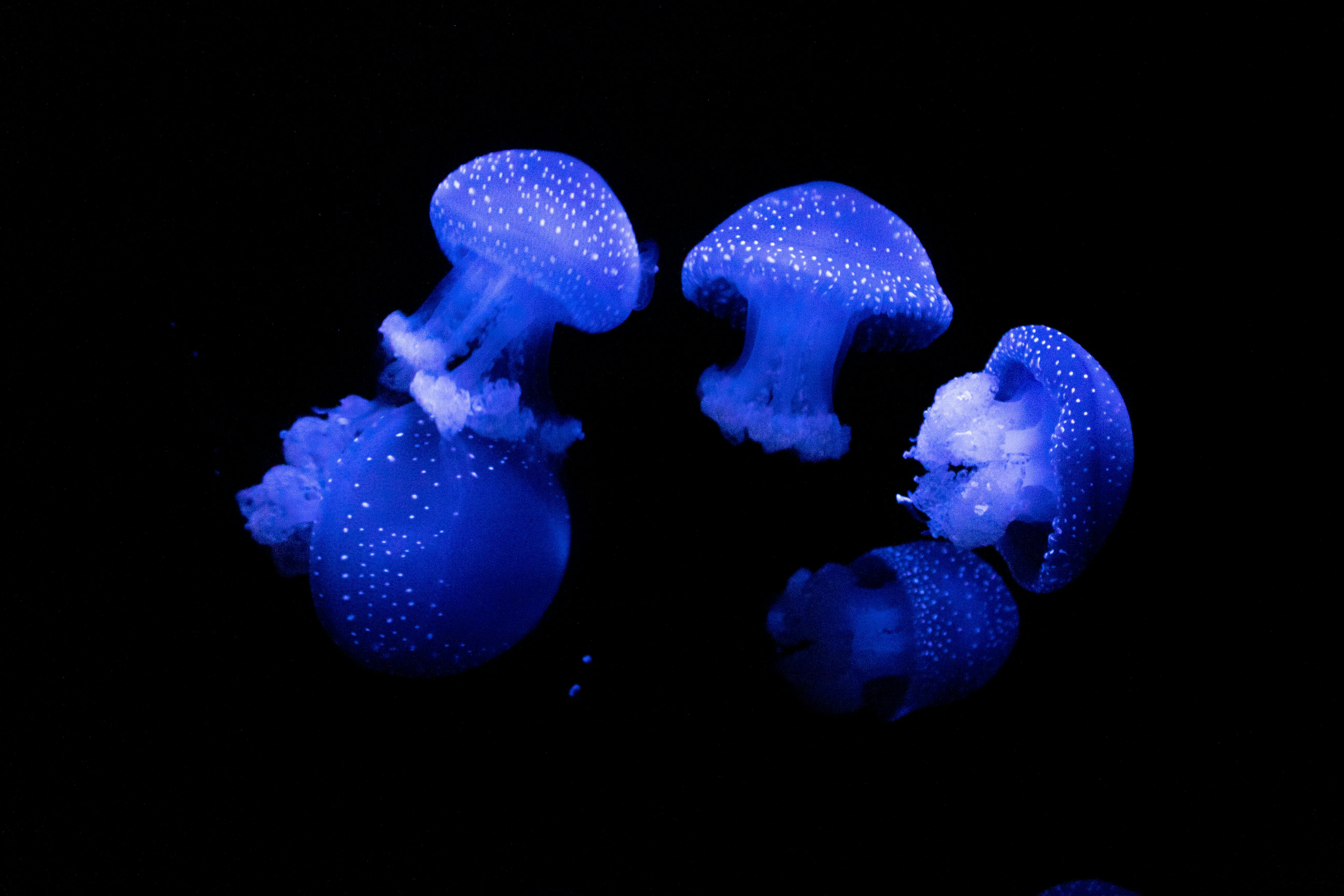 David Lucio - Photography