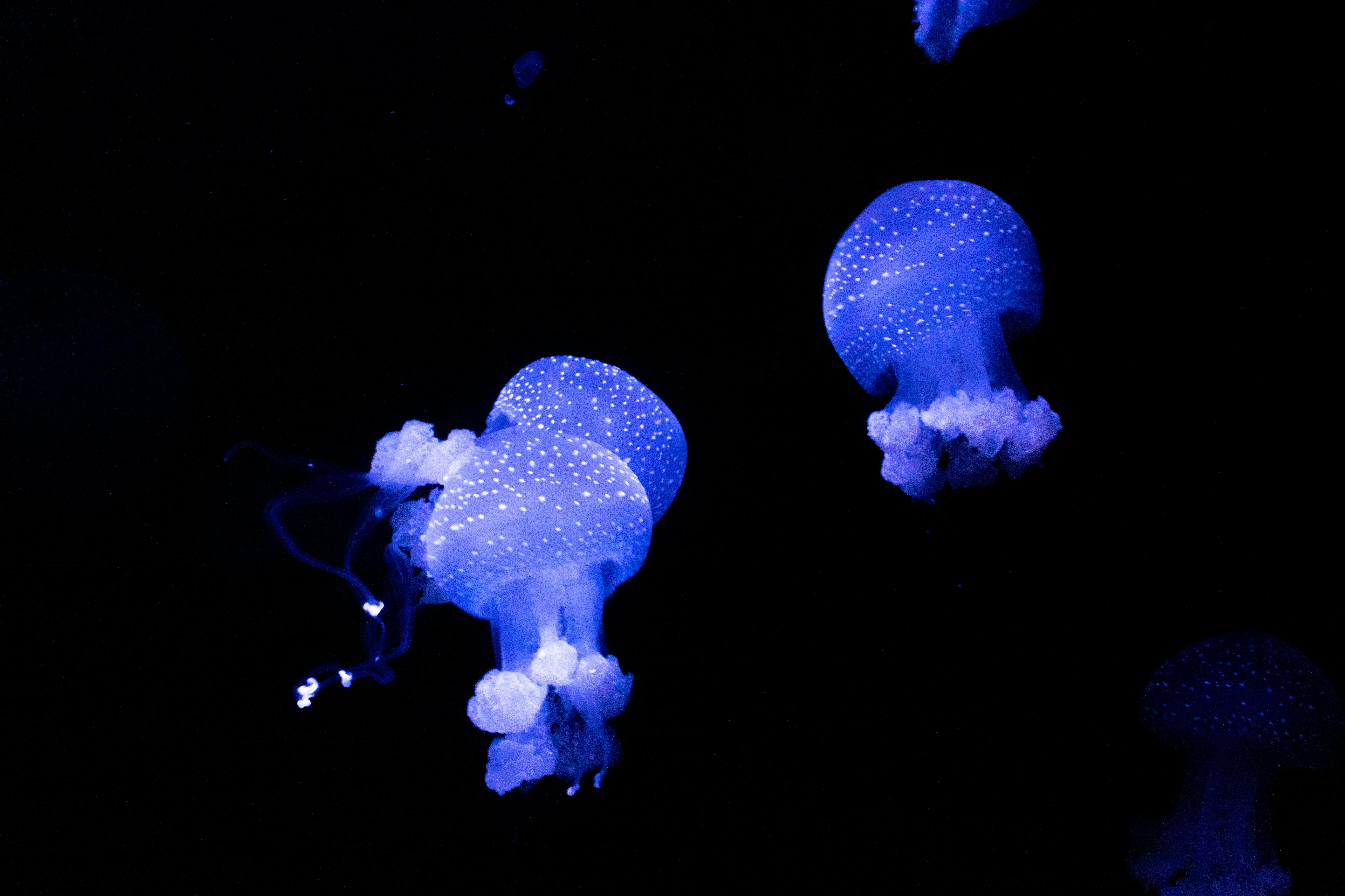 David Lucio - Photography