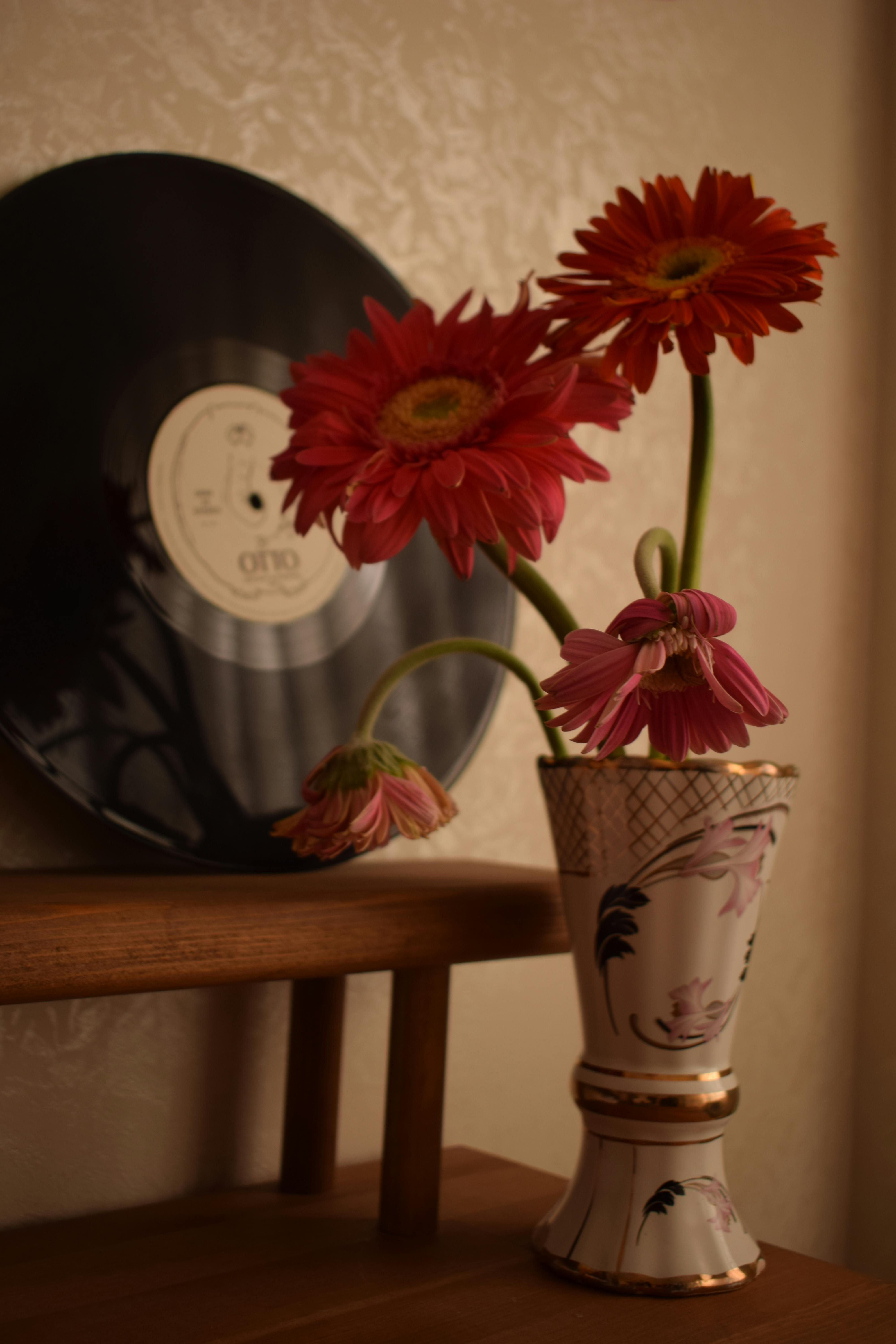 Vase Of Flowers Photos, Download The BEST Free Vase Of Flowers Stock ...