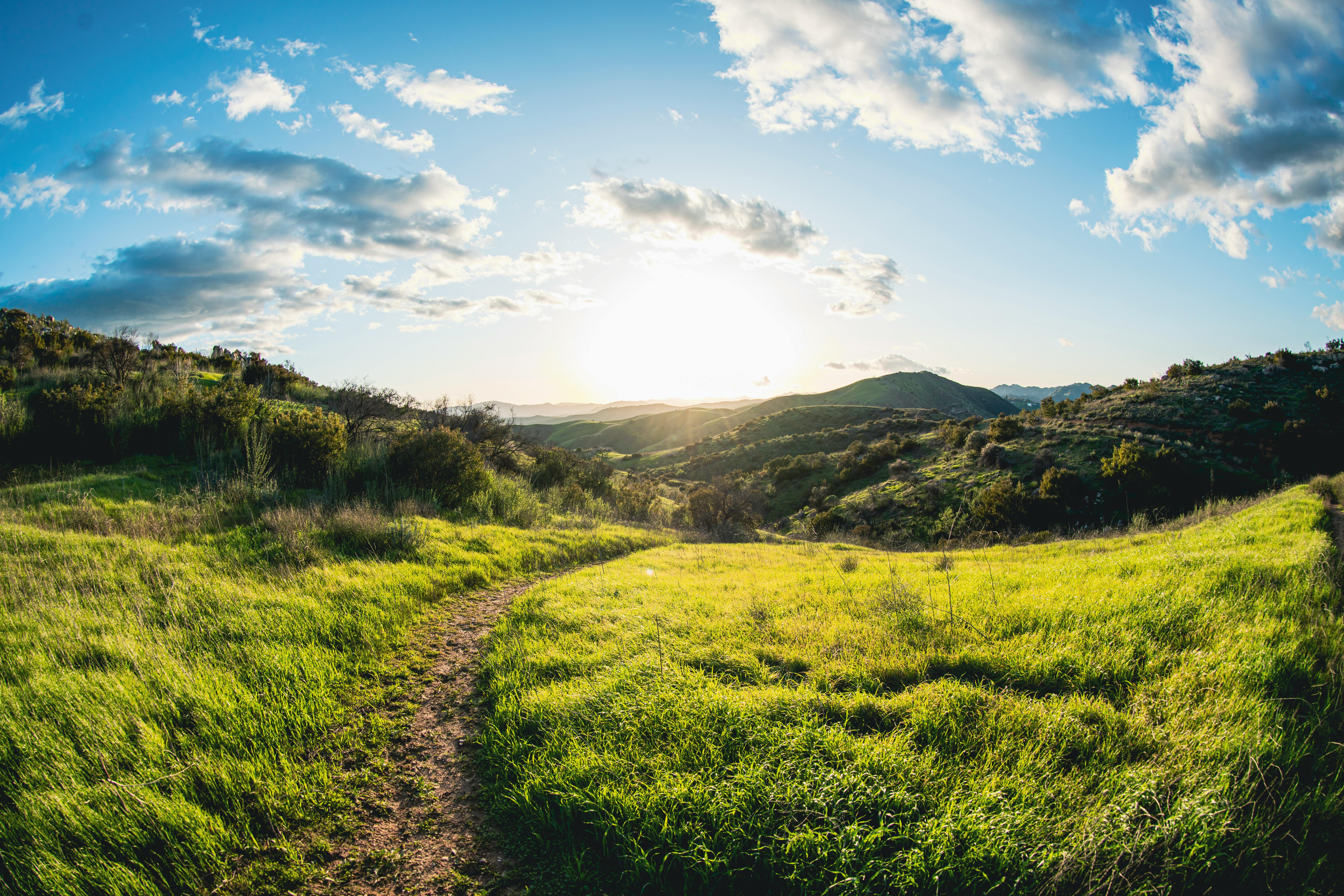 Green Sunset · Free Stock Photo