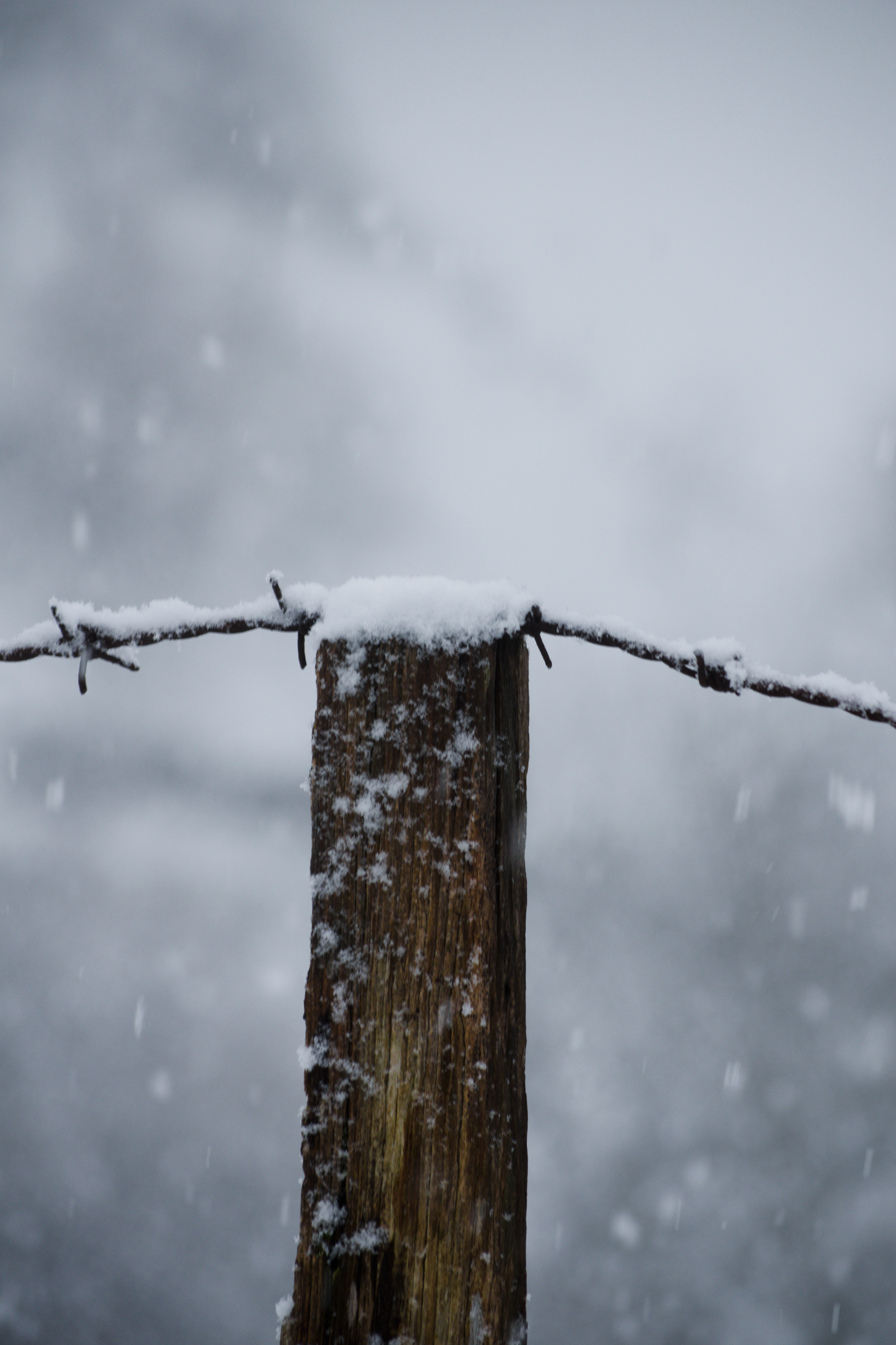 Close-Up Photo of Wooden Pole · Free Stock Photo