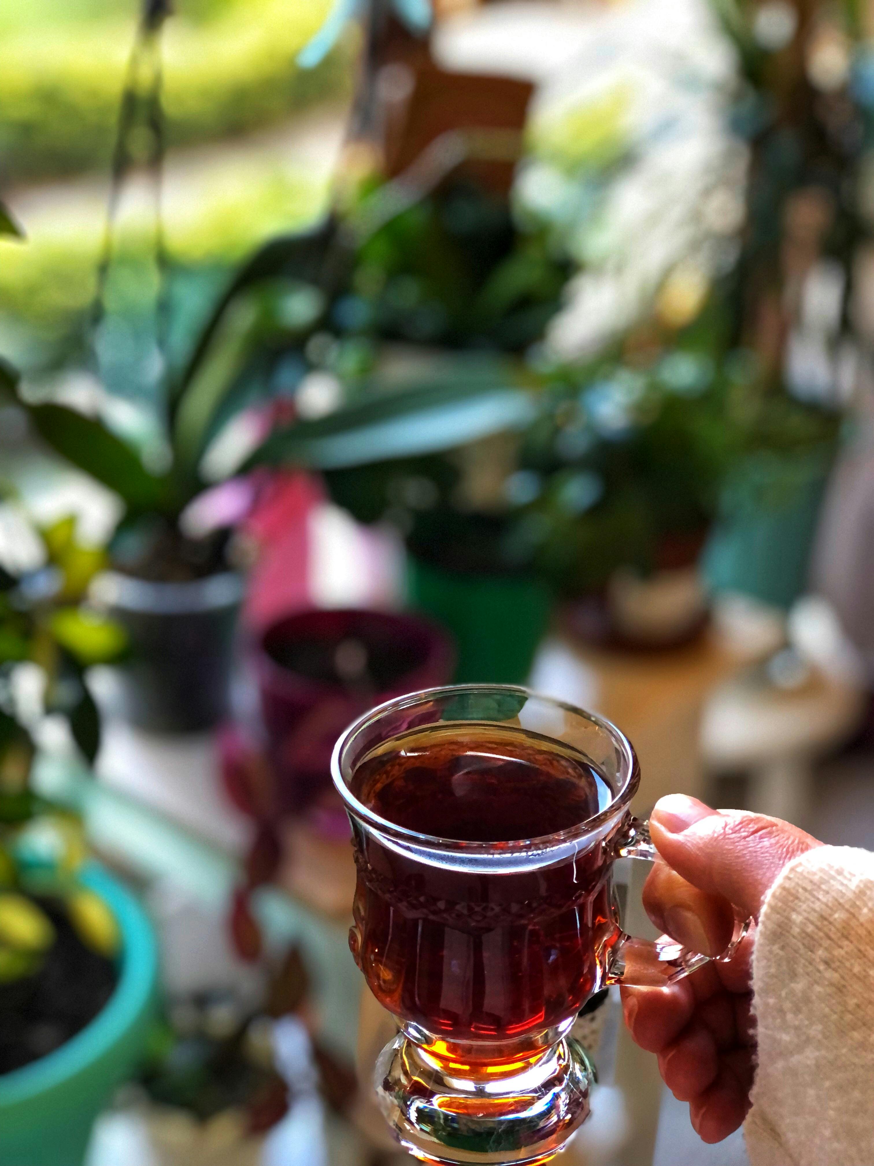 Arab Tea Photos, Download The BEST Free Arab Tea Stock Photos & HD Images