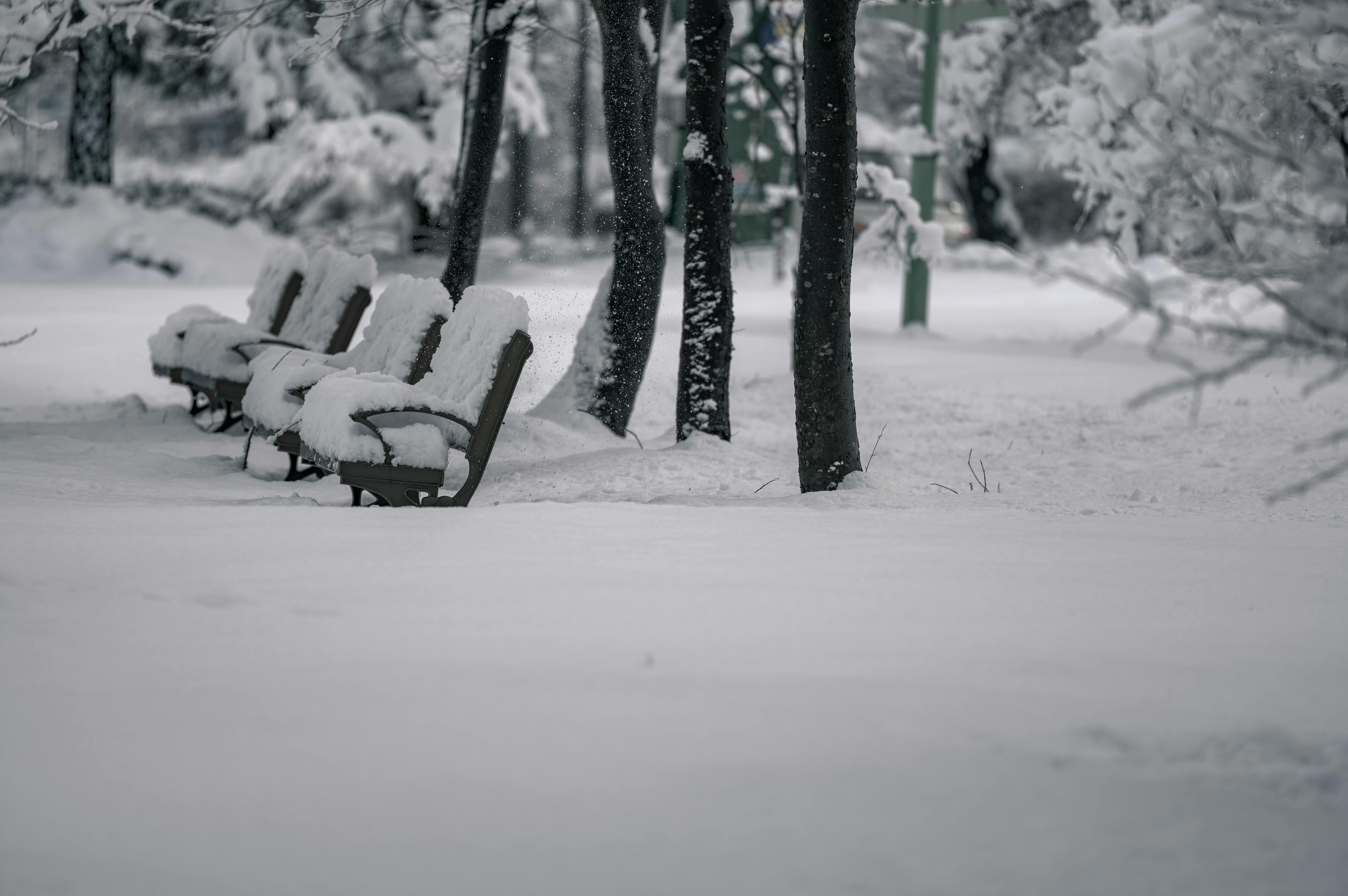 View of a Park in Winter · Free Stock Photo