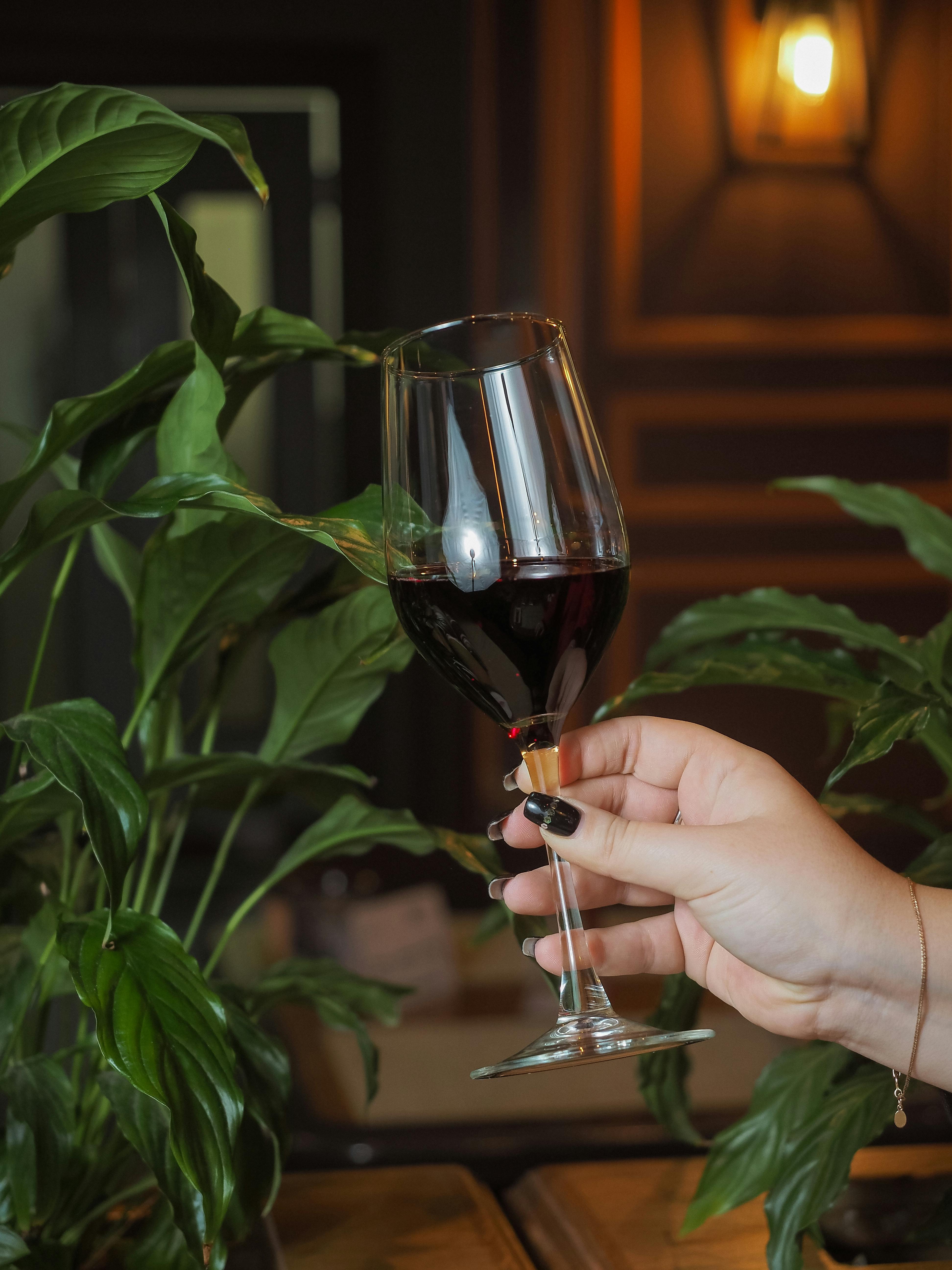 Lily Wine Photos, Download The BEST Free Lily Wine Stock Photos & HD Images